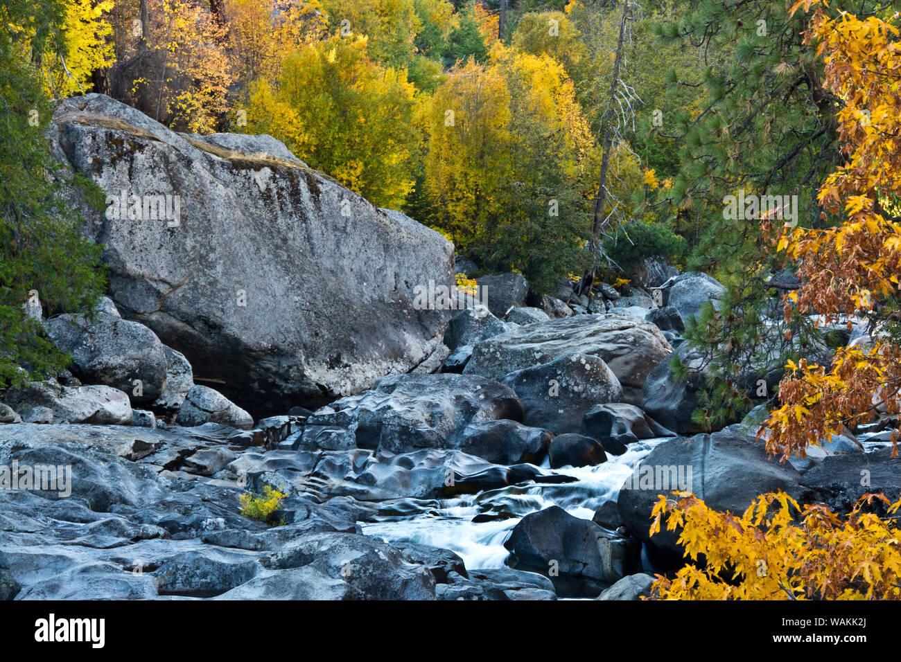 Autumn foliage, Icicle Creek and Gorge, Wenatchee National Forest Stock ...