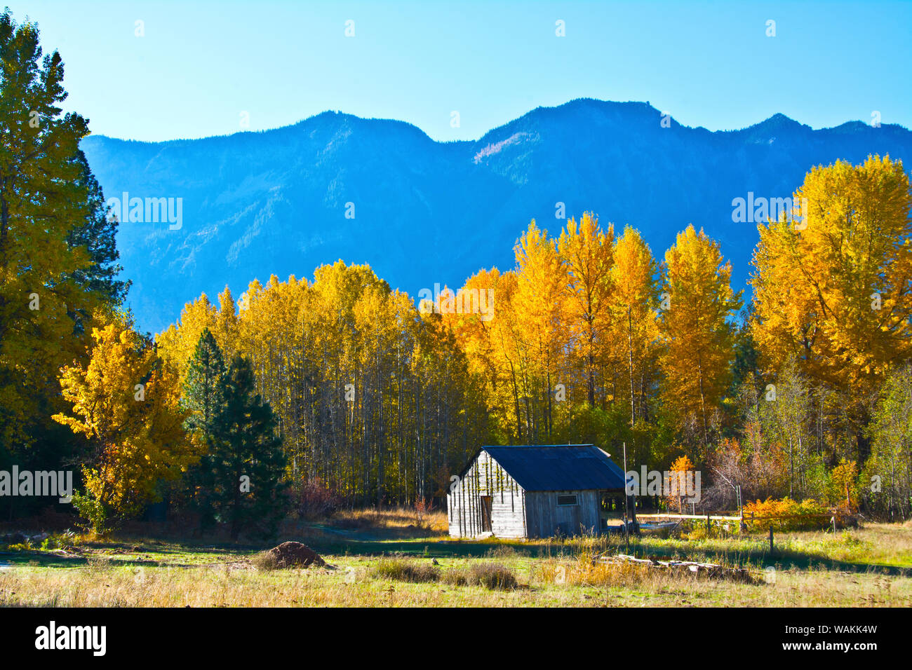 Old shack and autumn landscape, White River Area, Wenatchee National ...