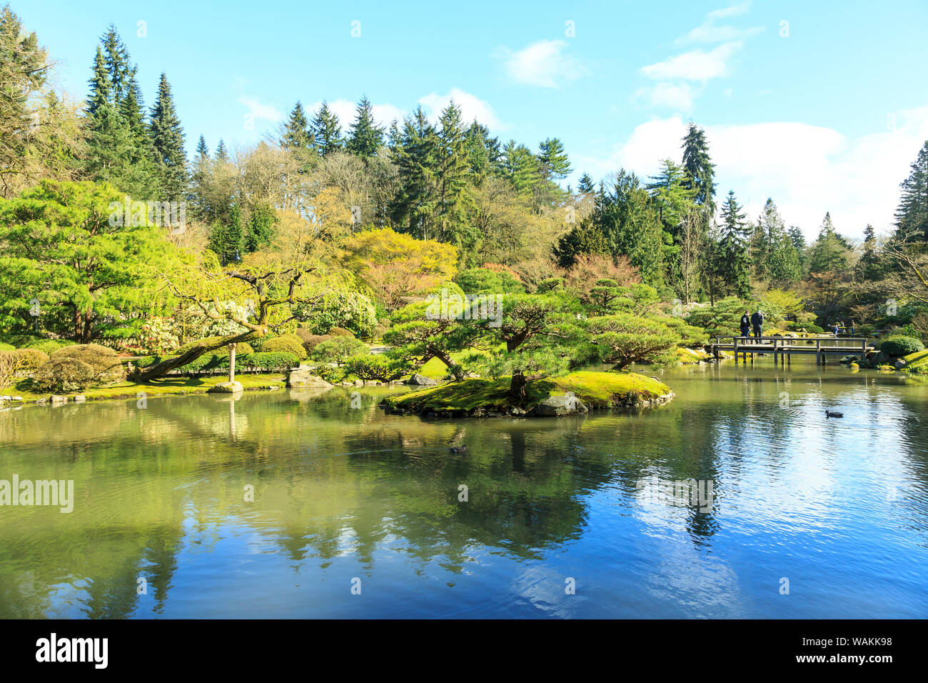 Seattle japanese garden spring hi-res stock photography and images - Alamy