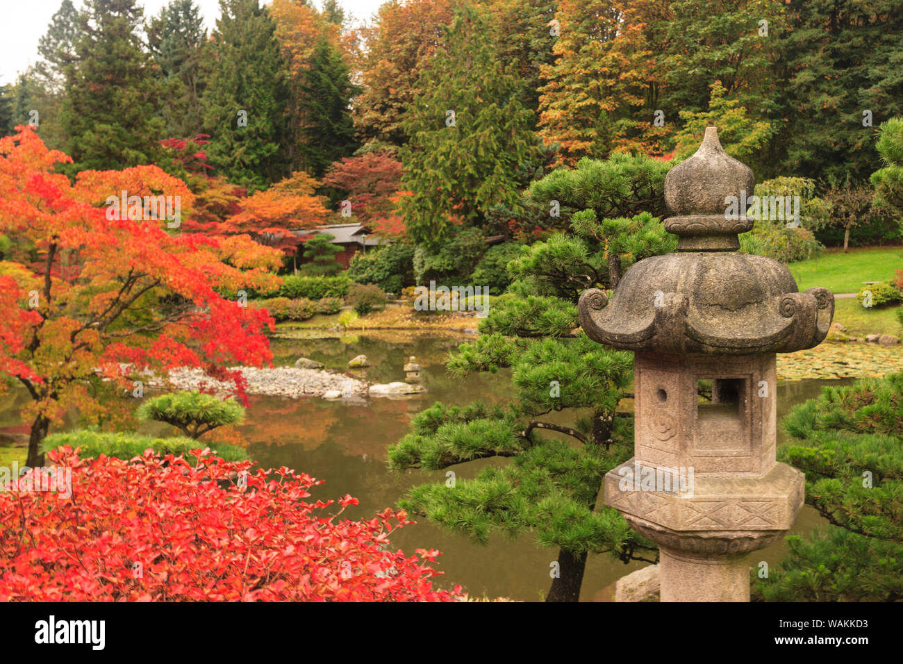 Washington park arboretum seattle fall hi-res stock photography and ...