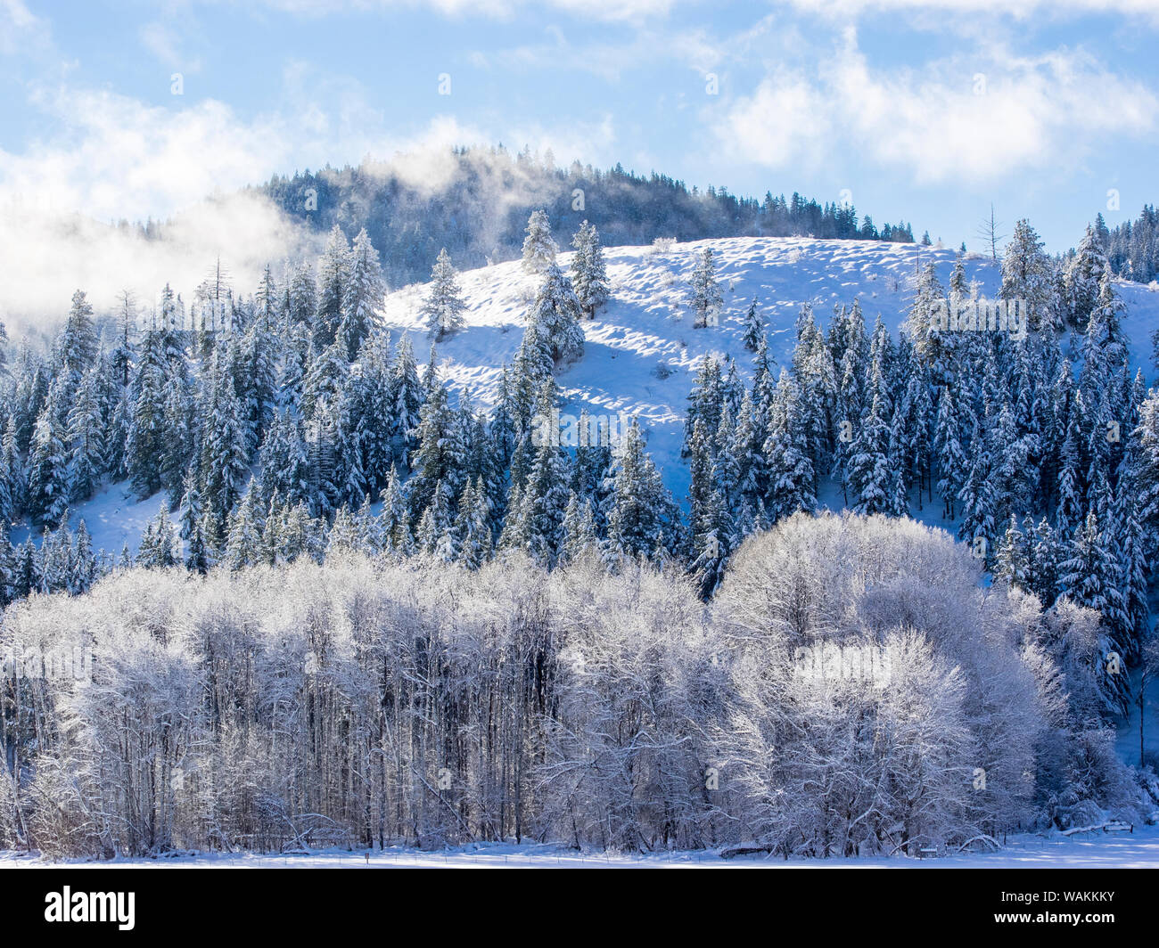 Misty outside hi-res stock photography and images - Alamy