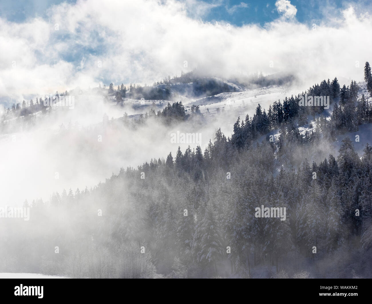 Misty outside hi-res stock photography and images - Alamy