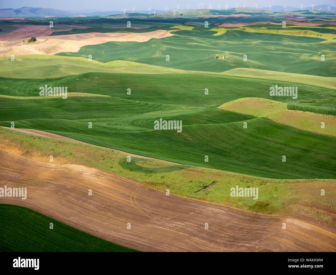 USA, Washington State. Aerial of Palouse Region Stock Photo - Alamy