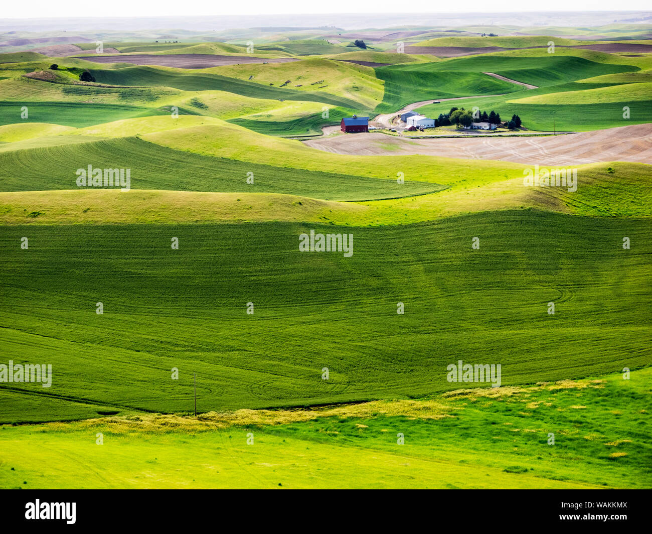 Aerial of palouse region hi-res stock photography and images - Alamy