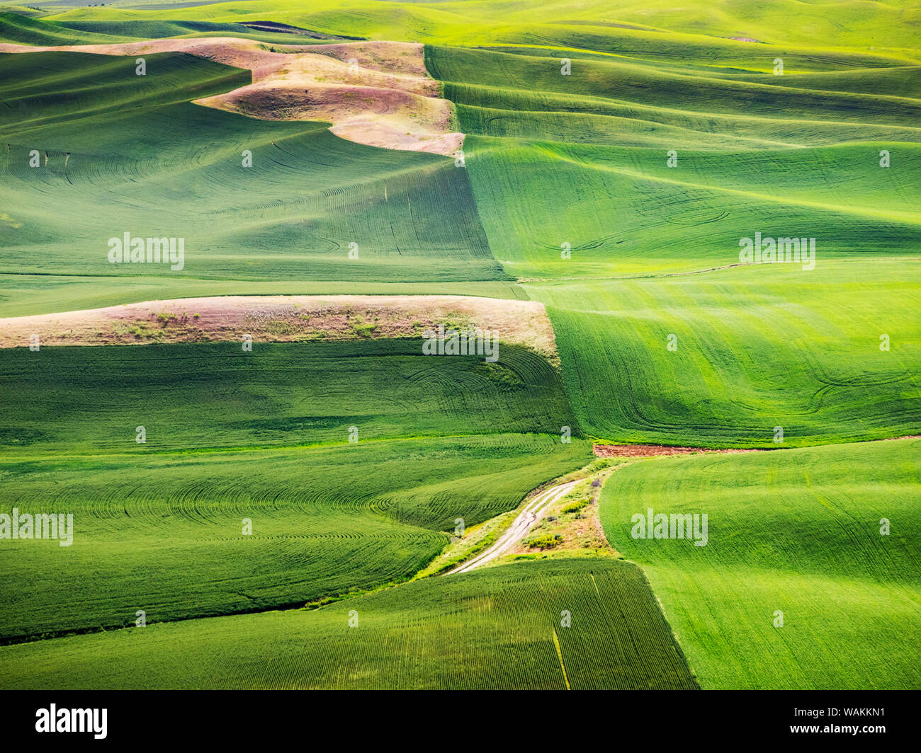 USA, Washington State. Aerial of Palouse Region Stock Photo - Alamy