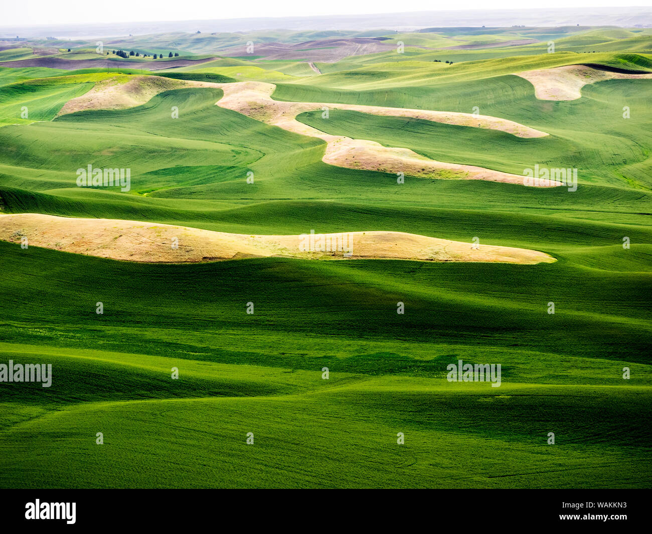 USA, Washington State. Aerial of Palouse Region Stock Photo - Alamy