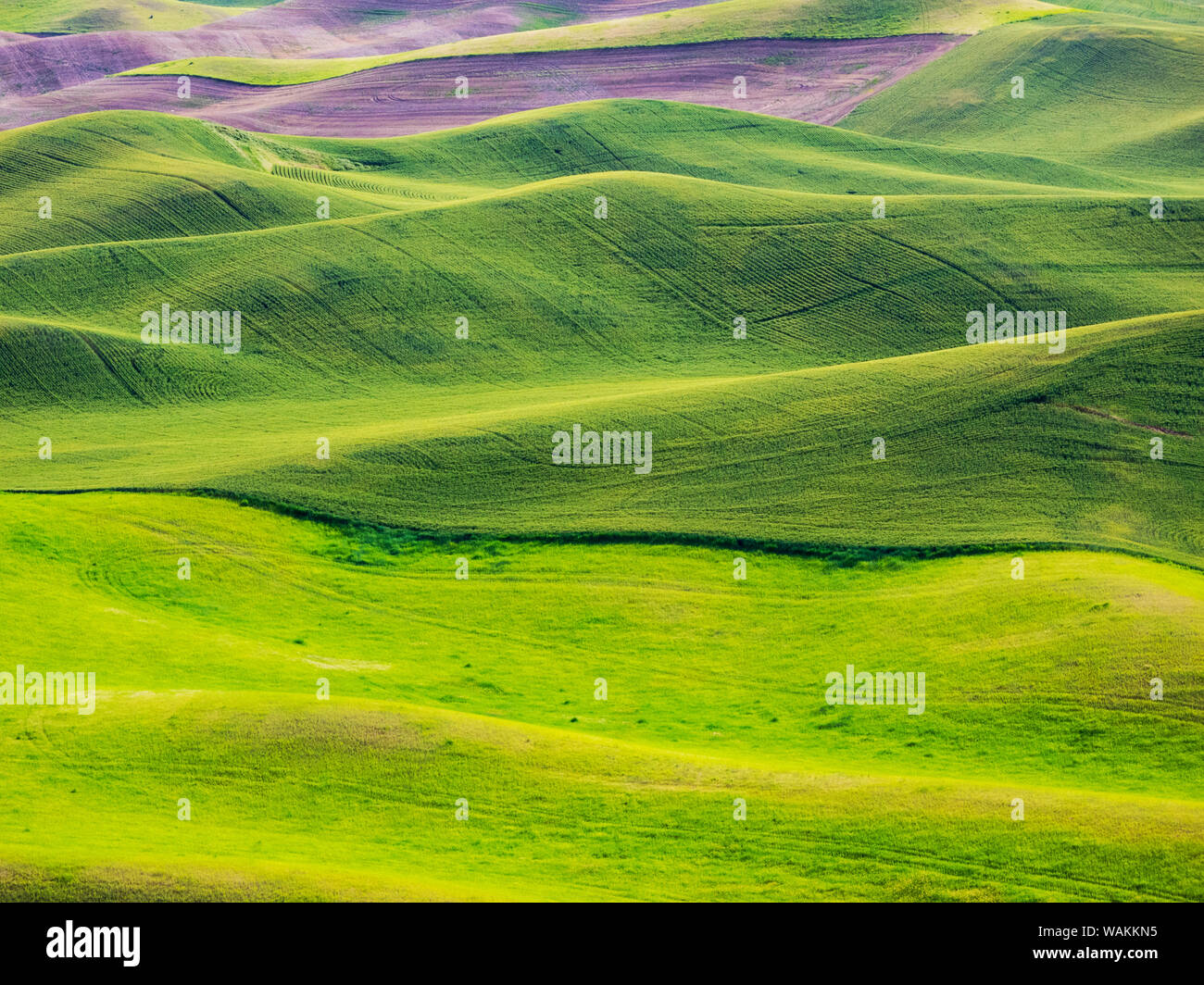 USA, Washington State. Aerial of Palouse Region Stock Photo - Alamy