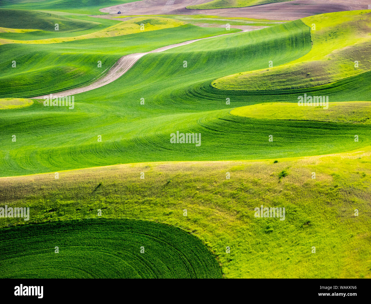 USA, Washington State. Aerial of Palouse Region Stock Photo - Alamy
