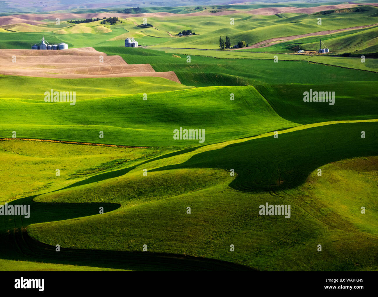 USA, Washington State. Aerial of Palouse Region Stock Photo - Alamy