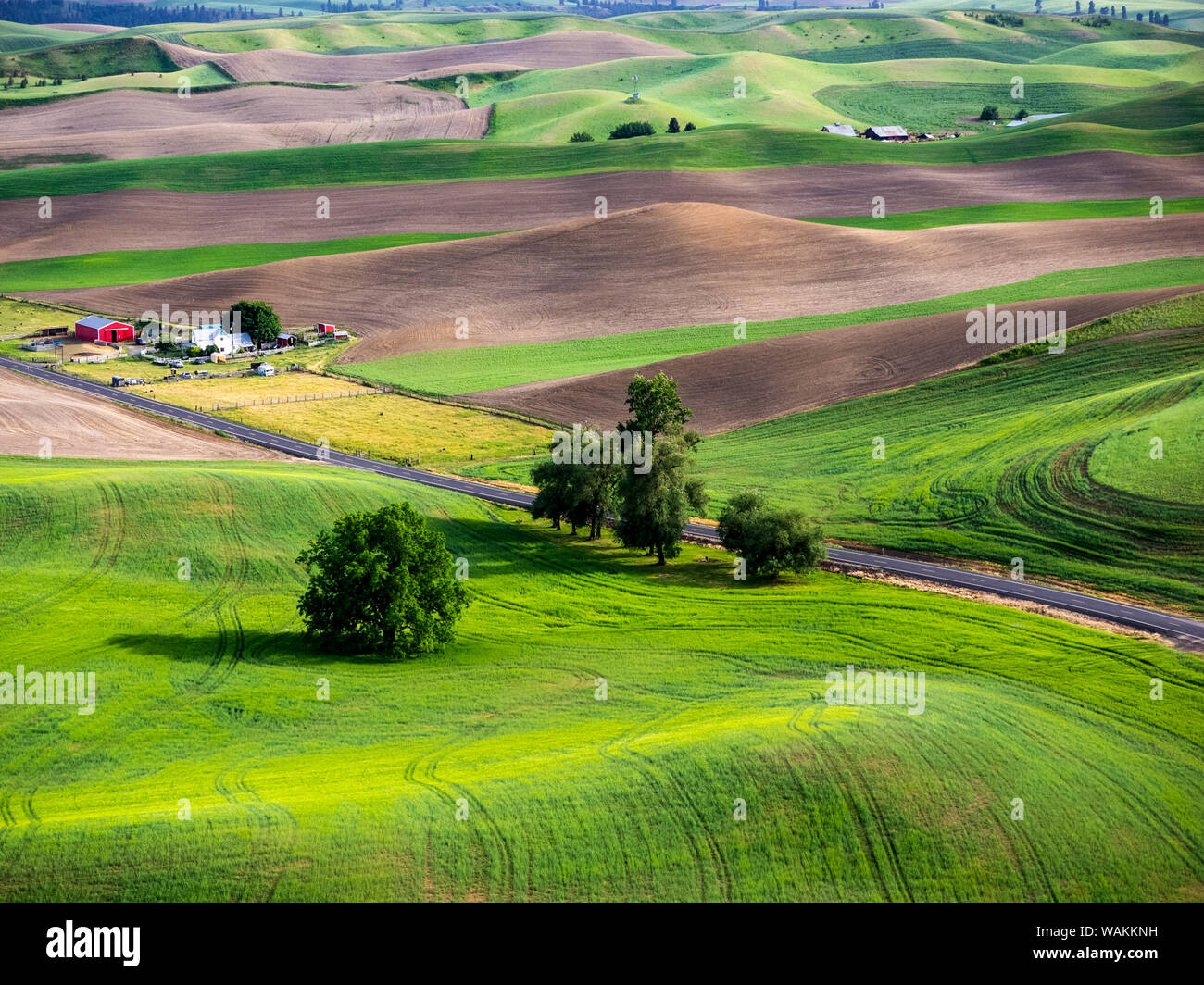 Aerial of palouse region hi-res stock photography and images - Alamy