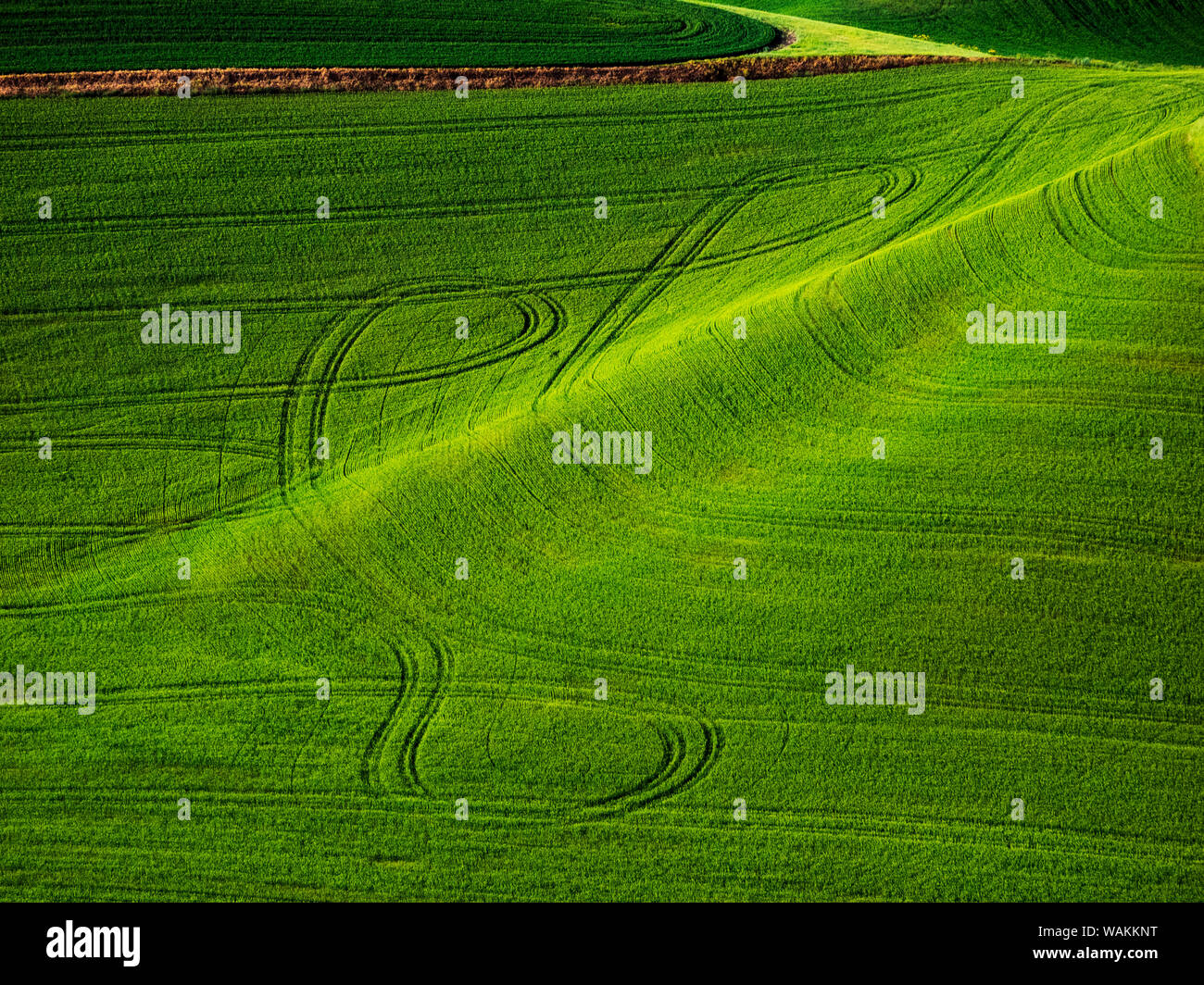 USA, Washington State. Aerial of Palouse Region Stock Photo - Alamy