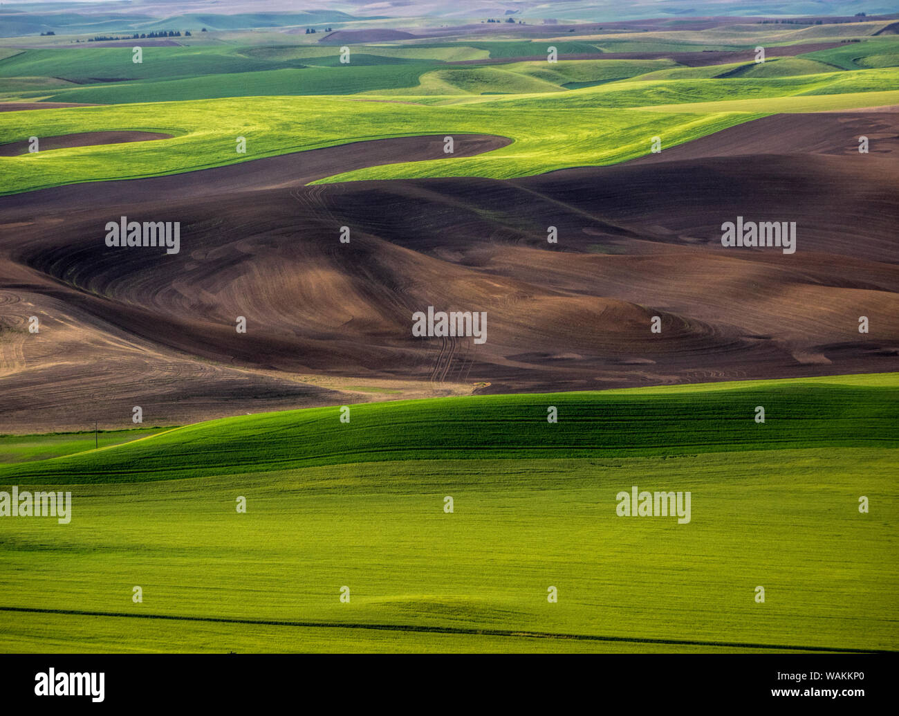 Aerial of palouse region hi-res stock photography and images - Alamy