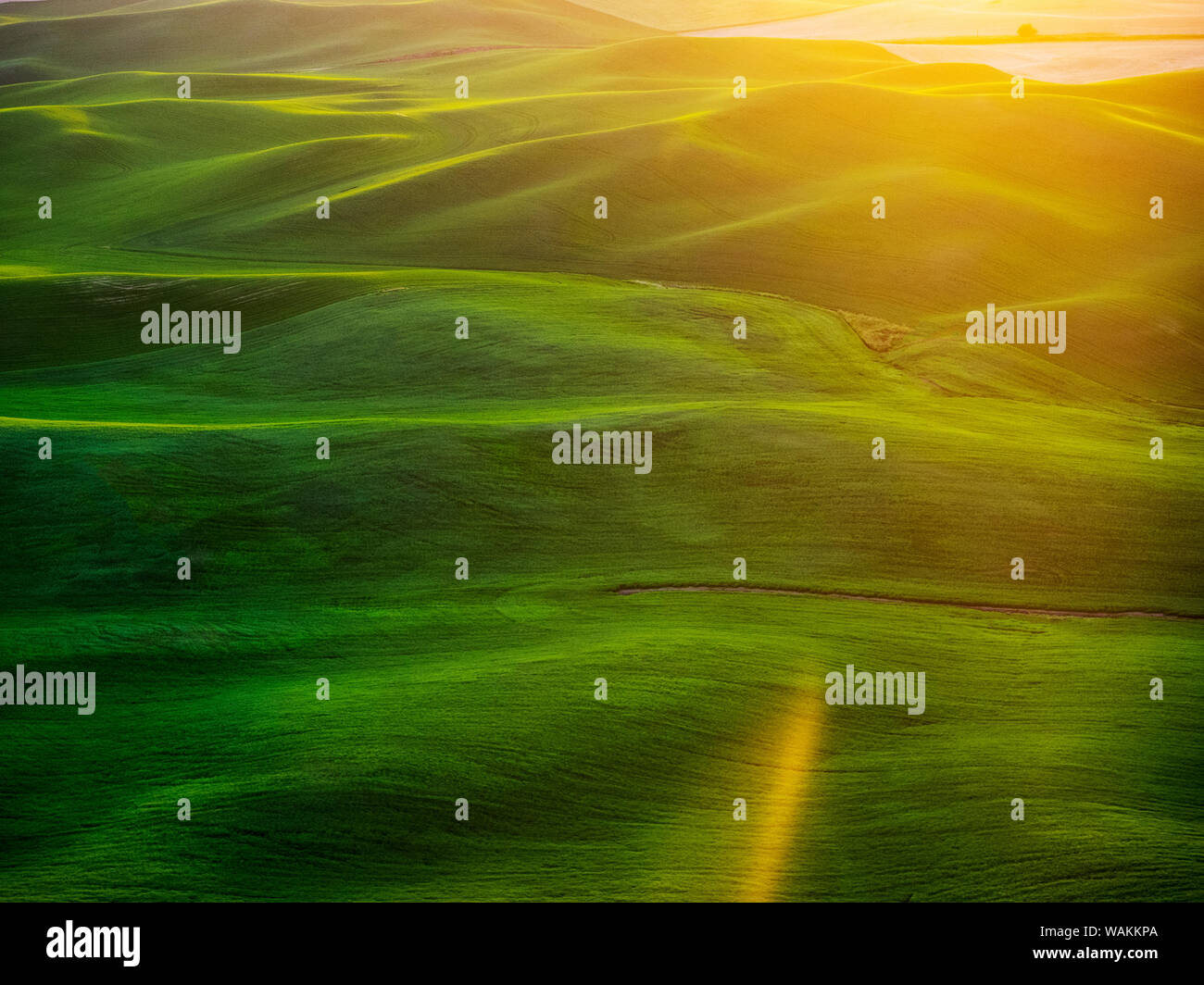 USA, Washington State. Aerial of Palouse Region Stock Photo - Alamy