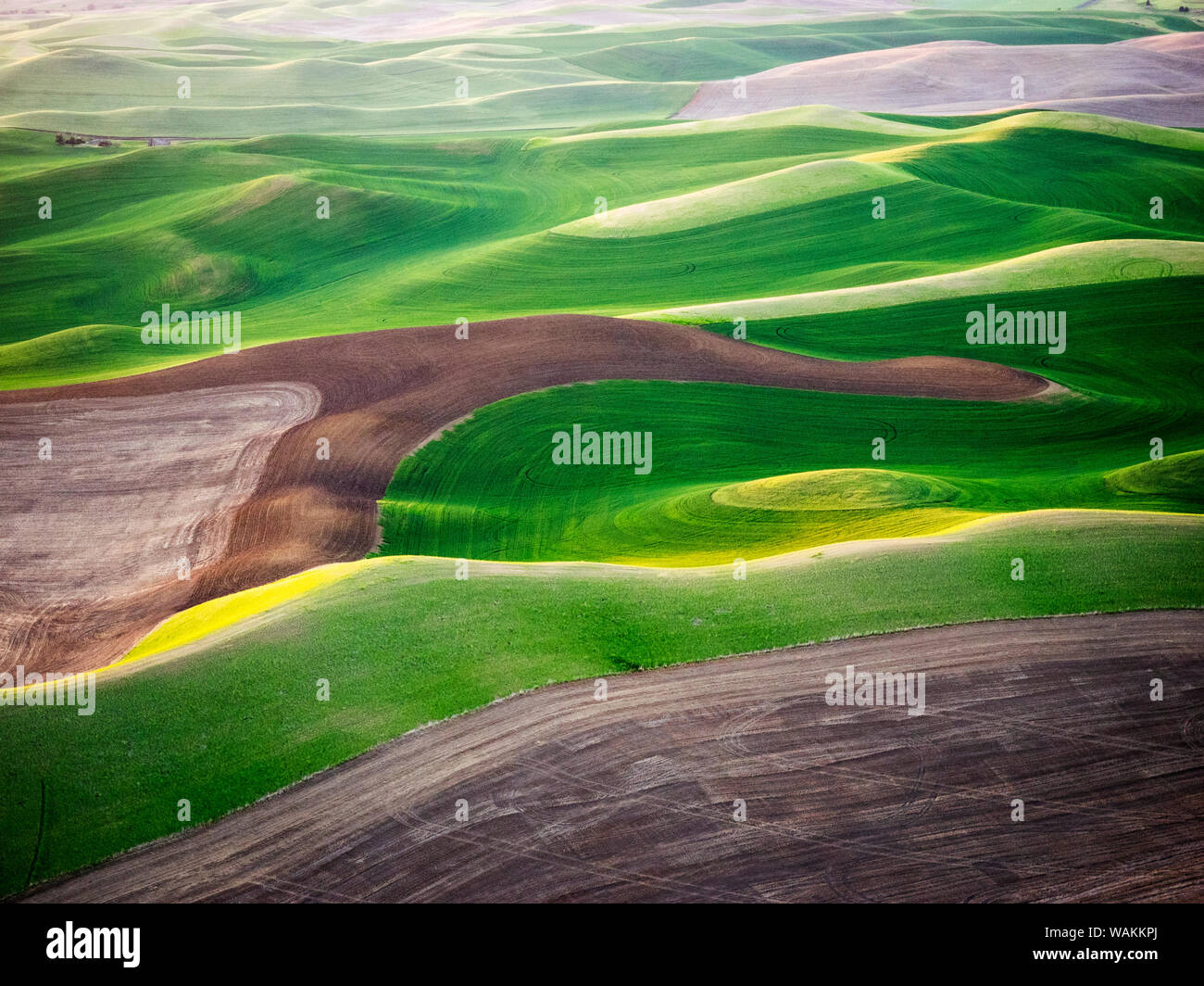 USA, Washington State. Aerial of Palouse Region Stock Photo - Alamy