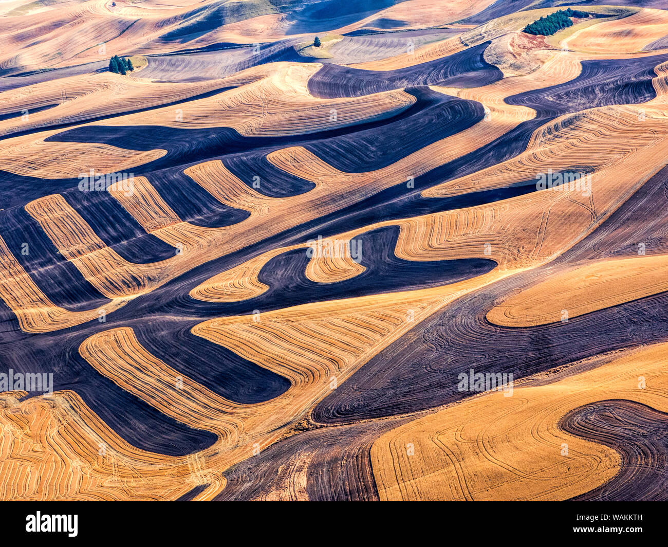 USA, Washington State, Palouse Region. Aerial images of Harvest in the ...