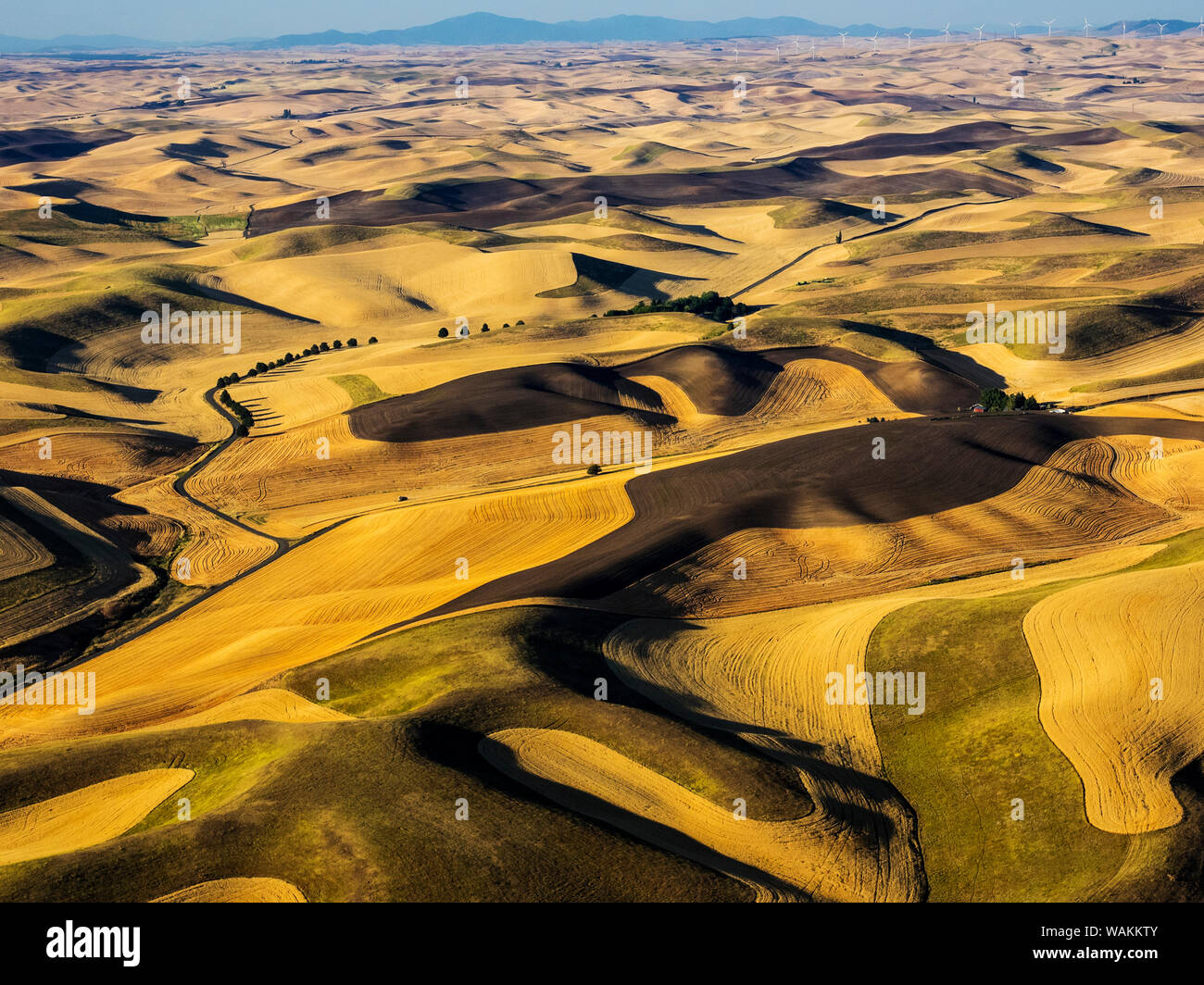 USA, Washington State, Palouse Region. Aerial images of Harvest in the ...