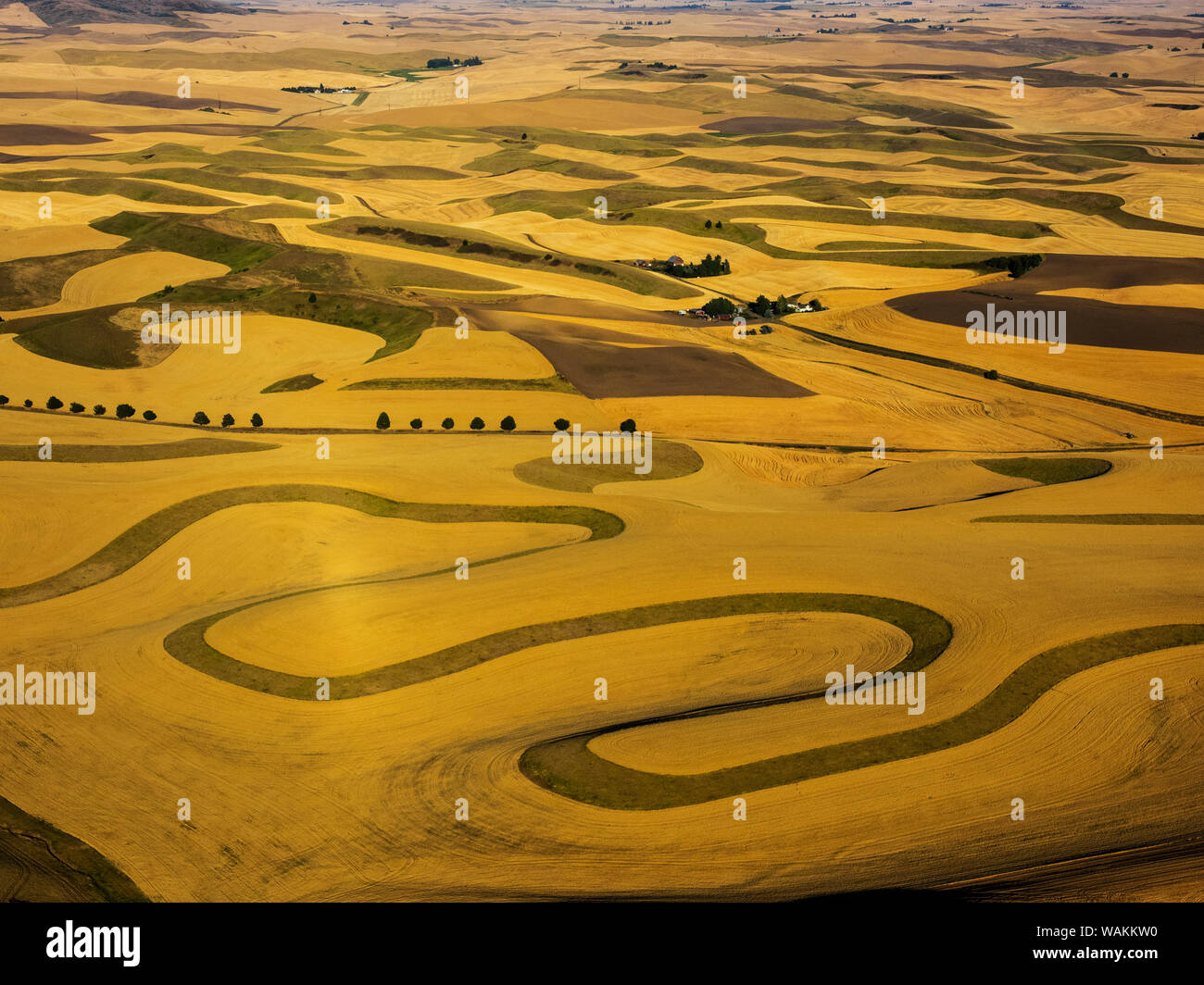 USA, Washington State, Palouse Region. Aerial images of Harvest in the ...