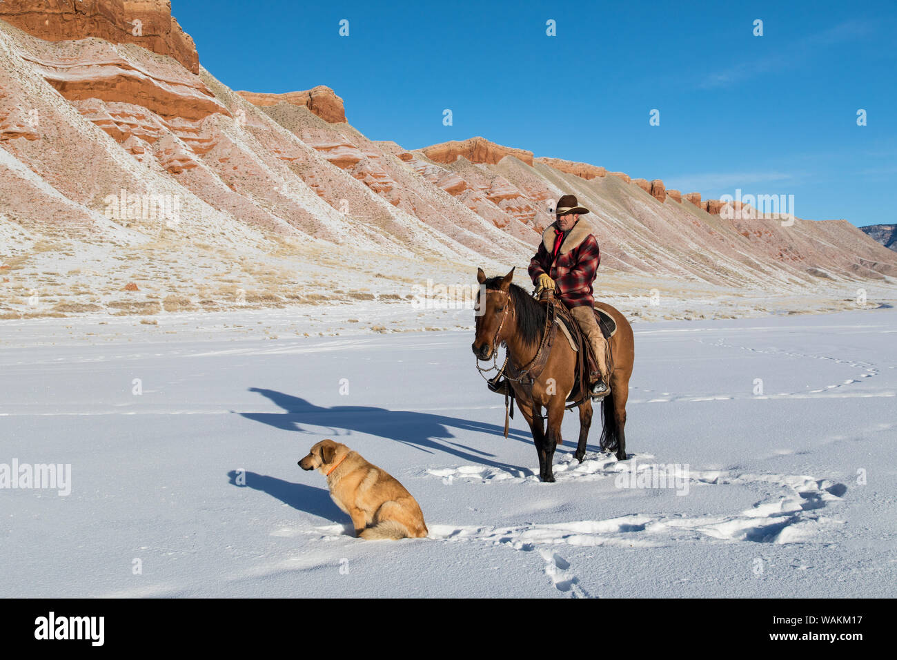 Dog cowboy horse ride hi-res stock photography and images - Alamy