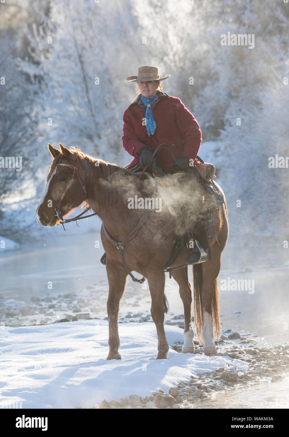 Cowboy horse drive on Hideout Ranch, Shell, Wyoming. Cowgirl in saddle ...