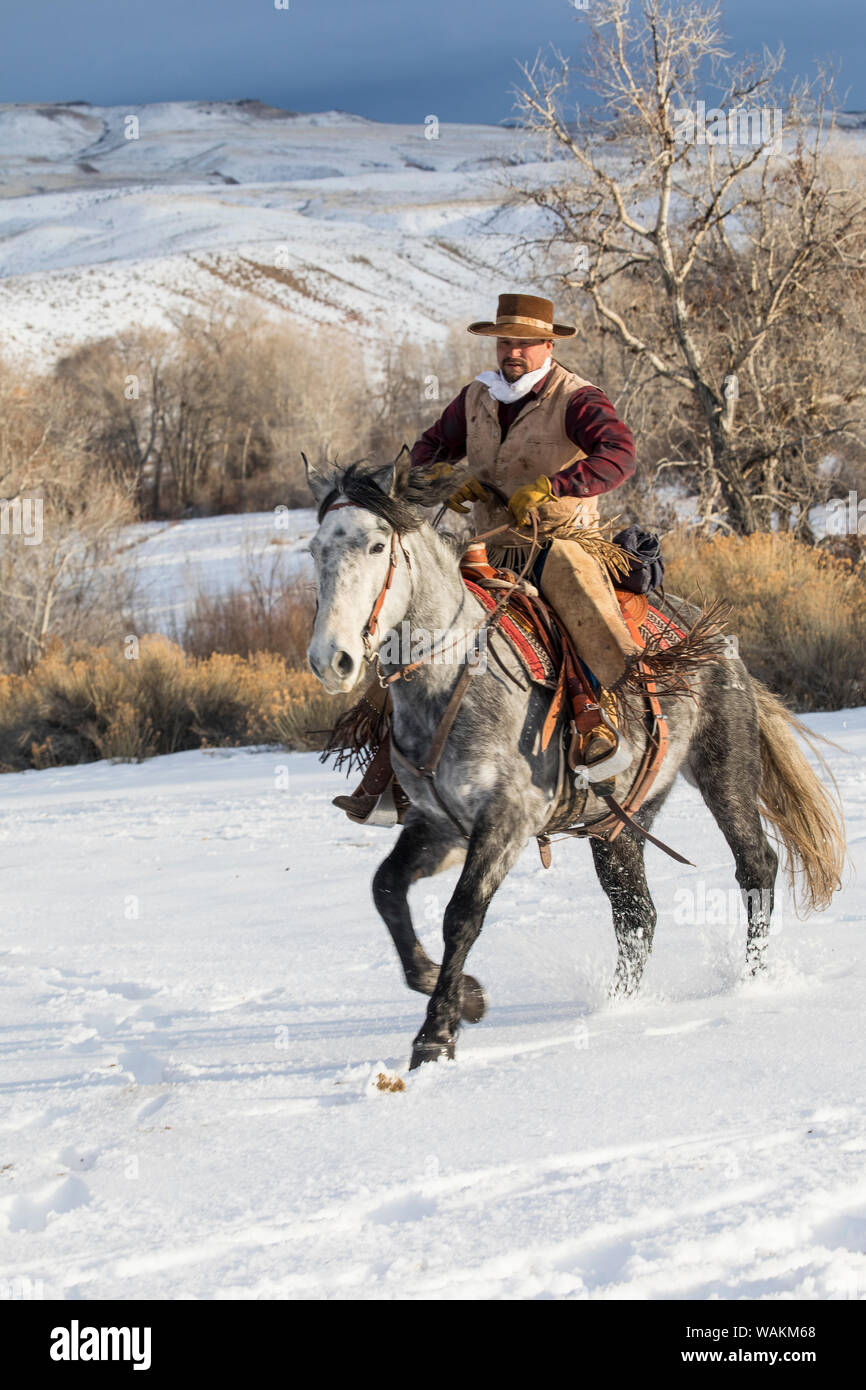 Cowboy horse drive on Hideout Ranch, Shell, Wyoming. Cowboy riding his ...