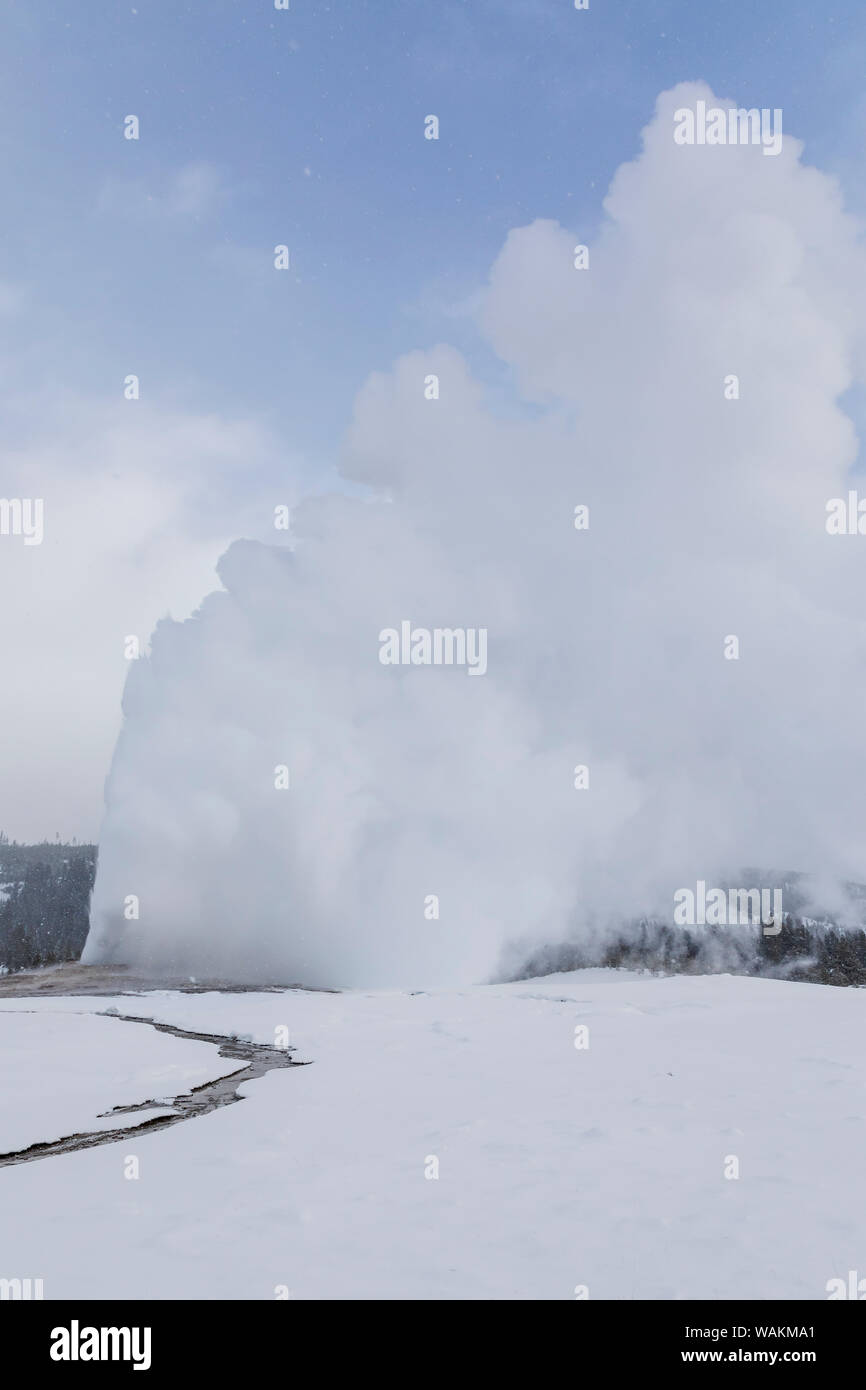 USA, Wyoming, Yellowstone National Park, Upper Geyser Basin, Old ...
