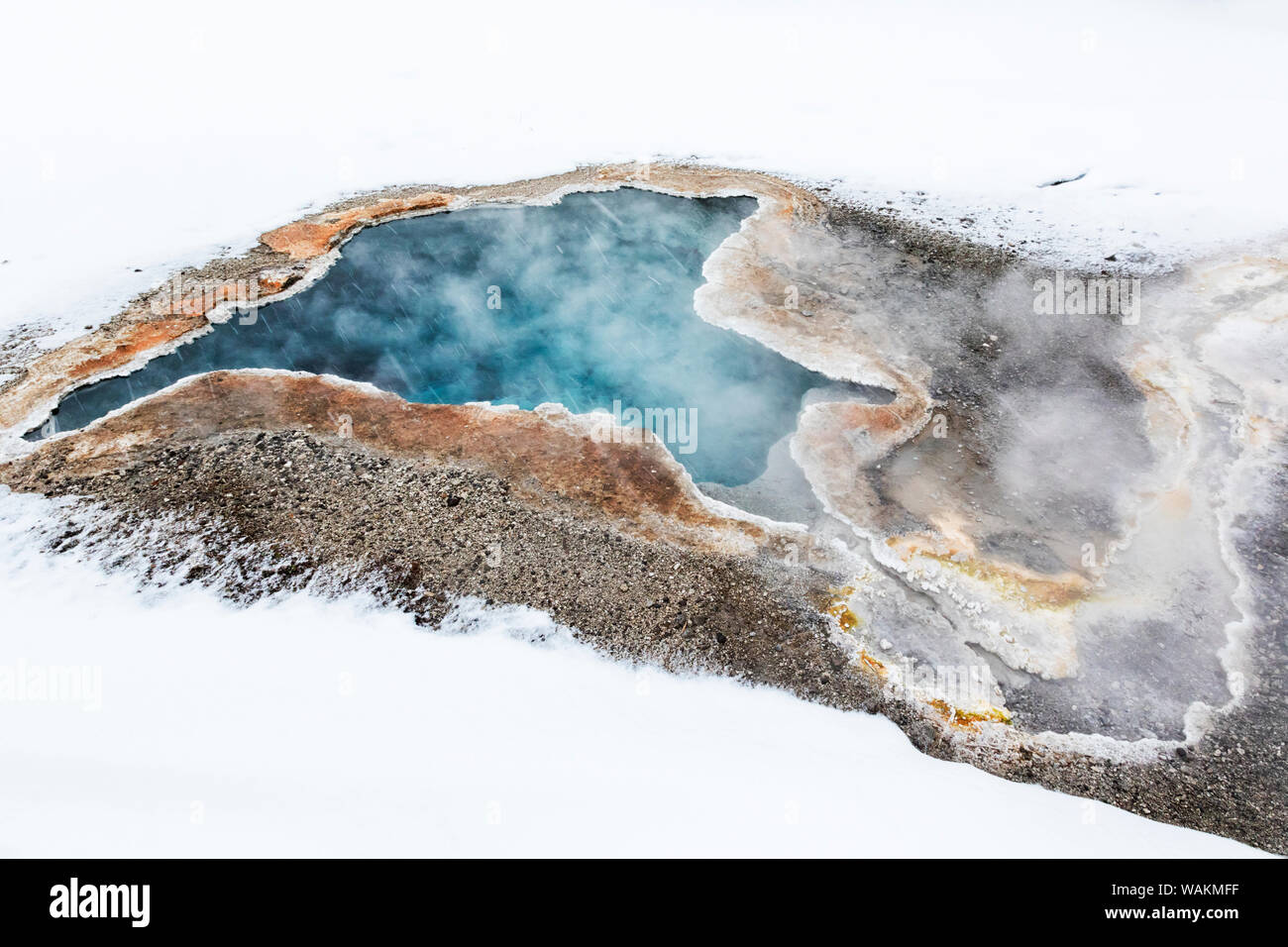 Usa, Wyoming, Yellowstone National Park. Upper Geyser Basin, Blue Star ...