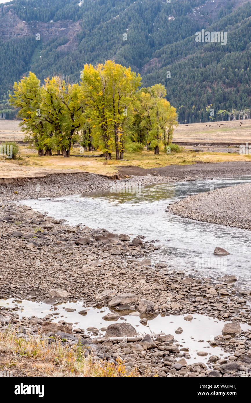 The curve slough hi-res stock photography and images - Alamy