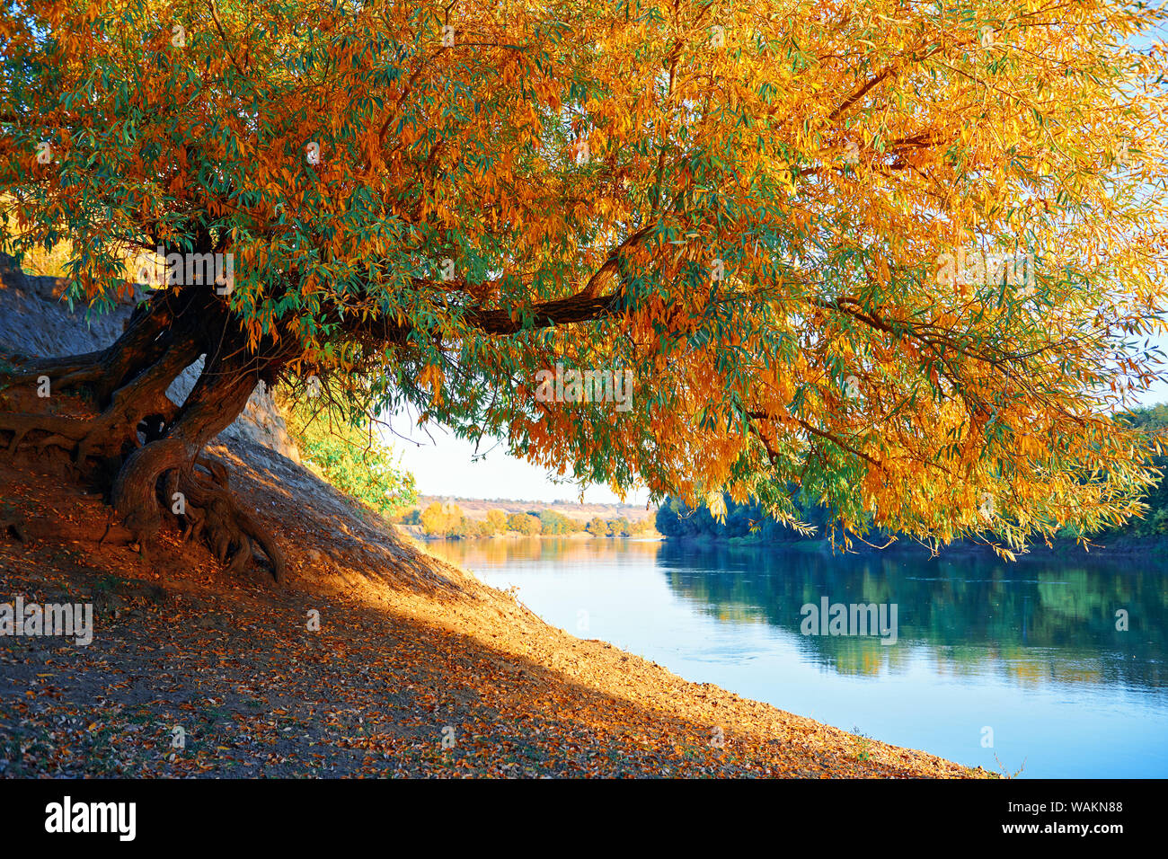 Sunlight On The River
