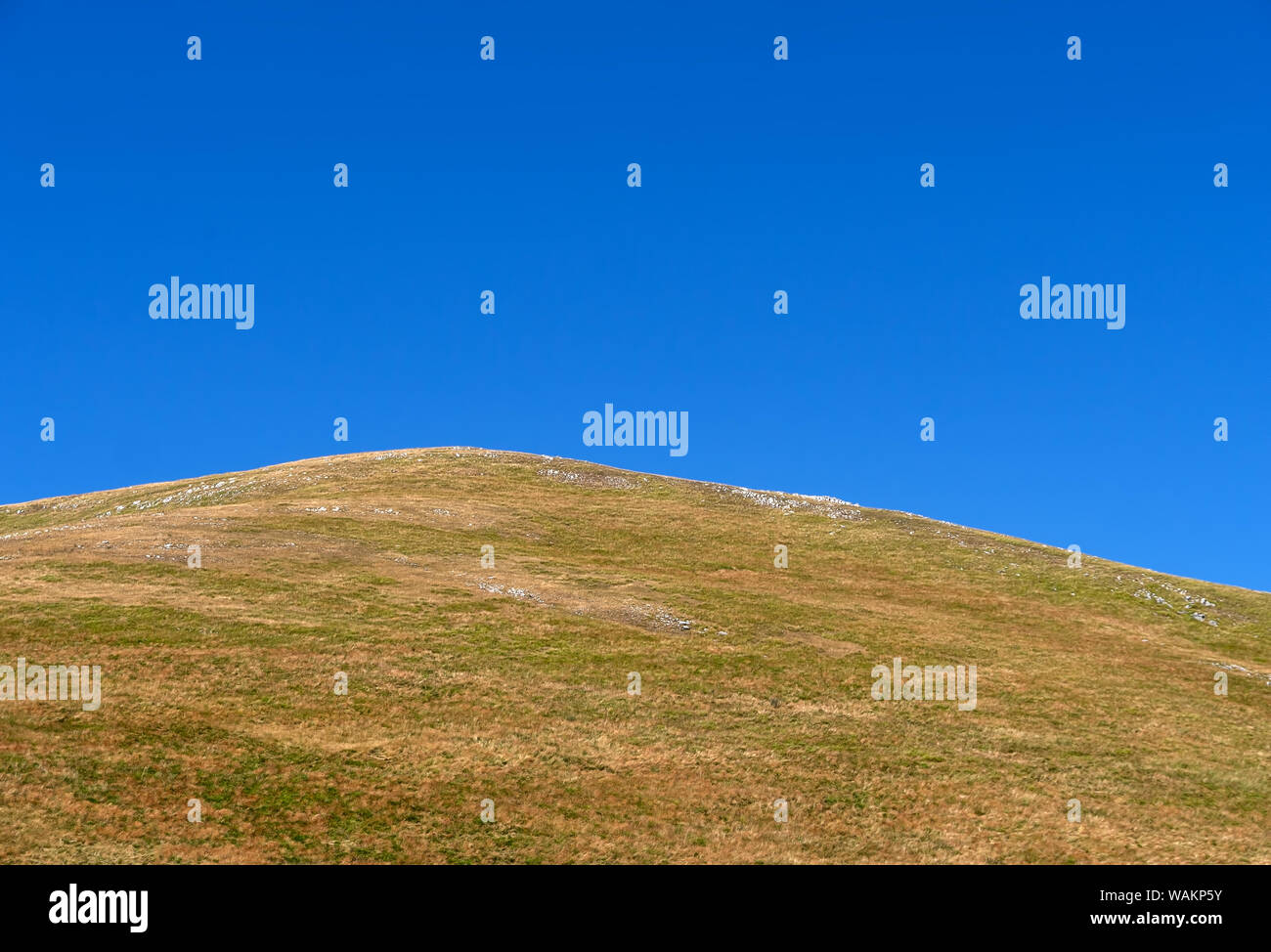 Hilltop grass meadow and bright blue hot summer sky, for background ...