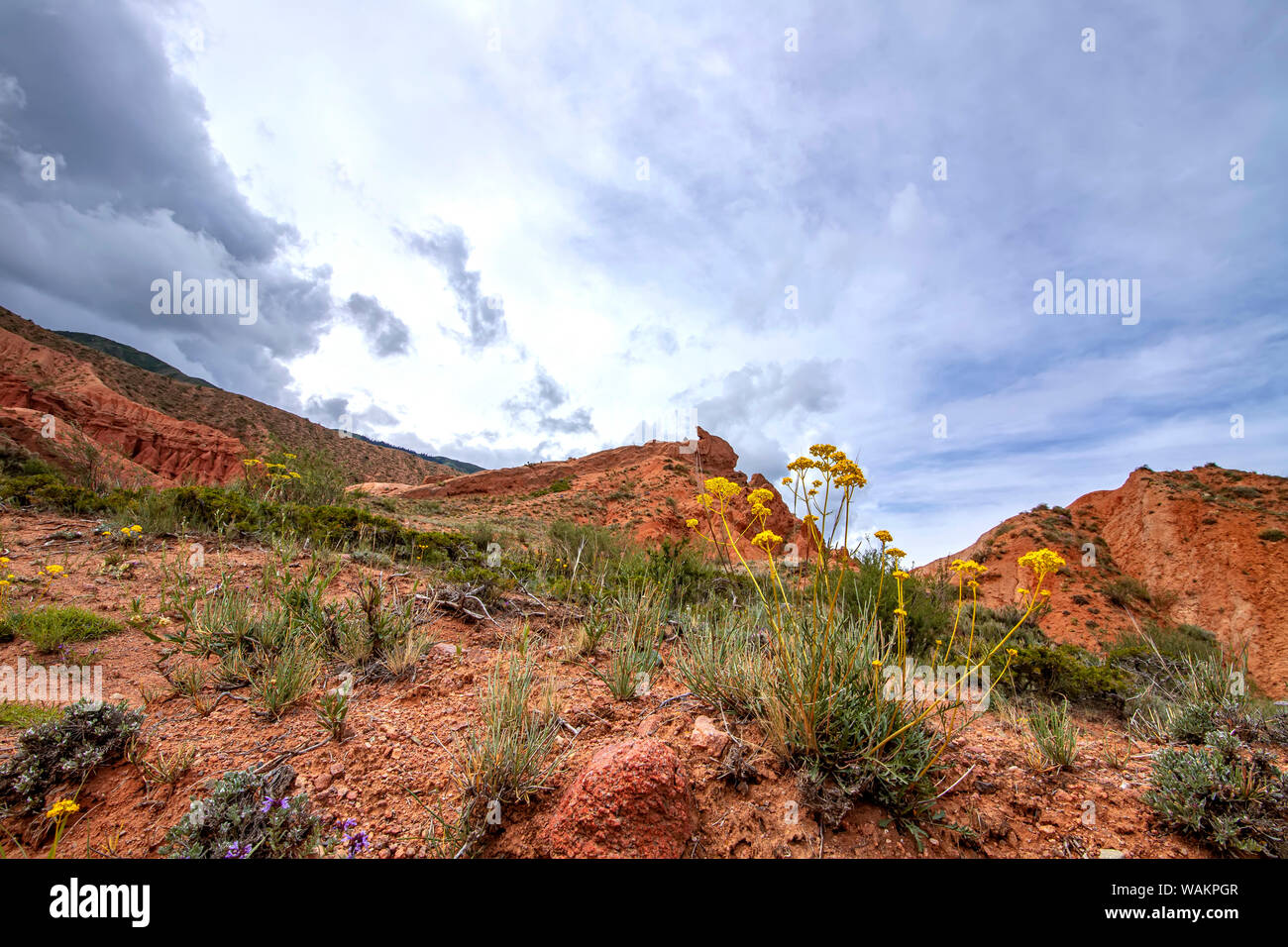 Multicolor mountains in the gorge Fairy Tale against a cloudy sky with ...
