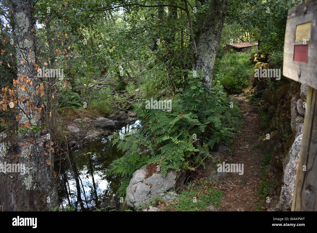 Dão River, Alcafache, Portugal Stock Photo - Alamy