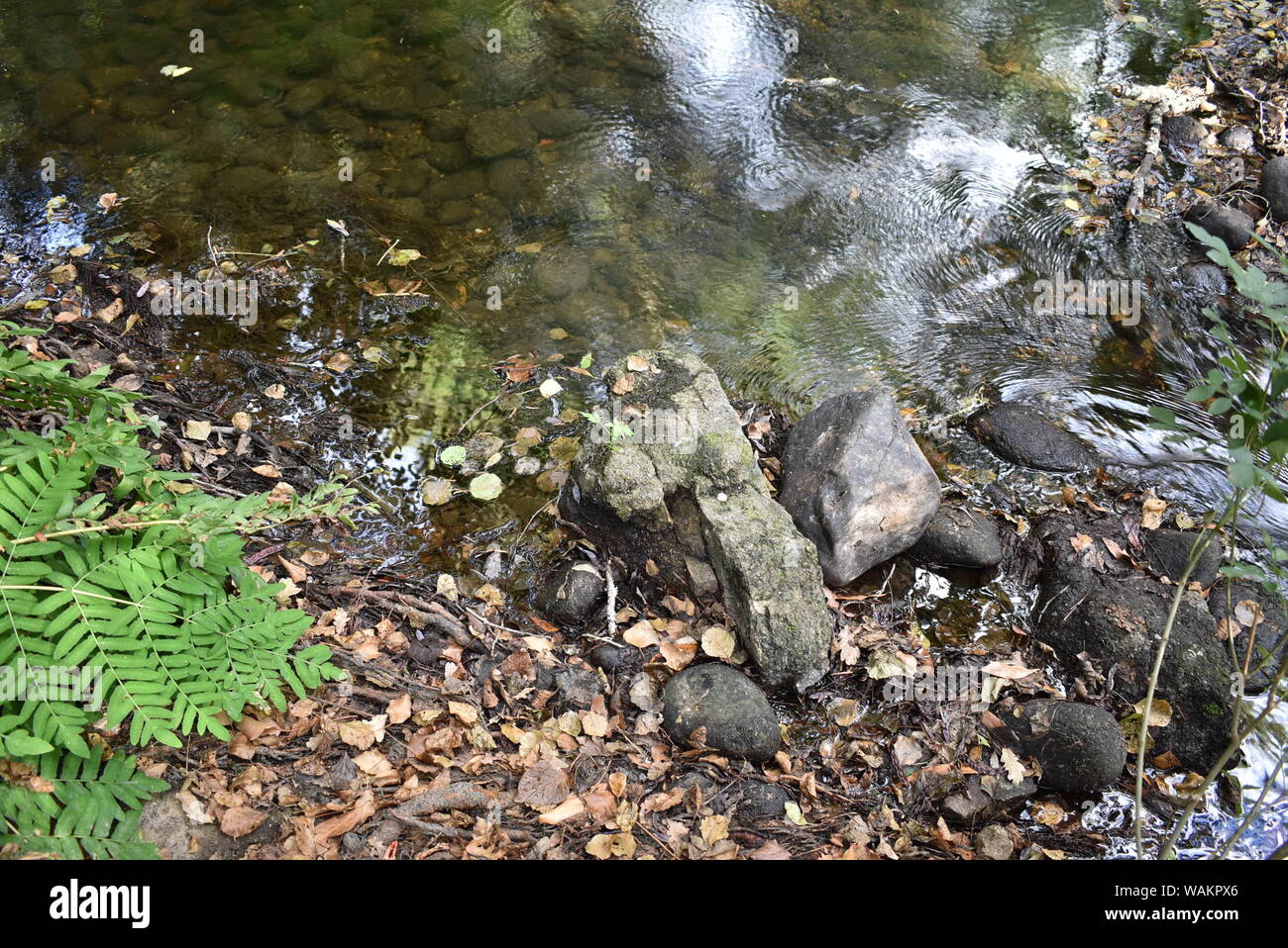 Dão River, Alcafache, Portugal Stock Photo - Alamy