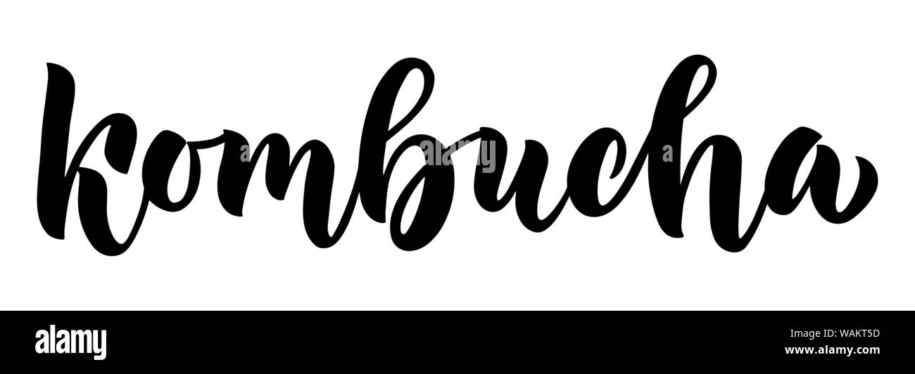 Kombucha vector design. Minimalistic black and white brush lettering ...