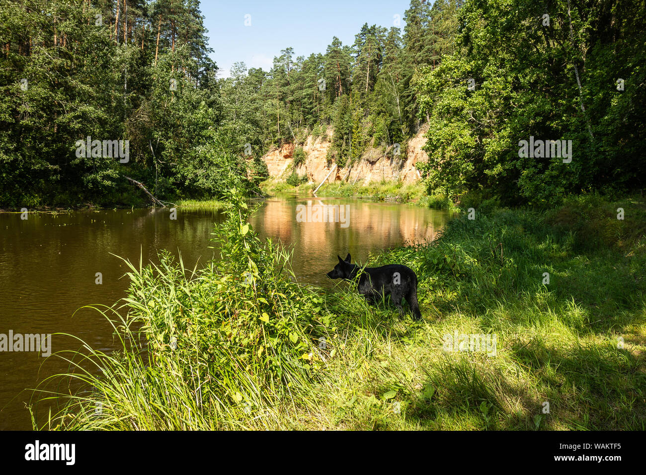 Red sandstone cliffs black hi-res stock photography and images - Alamy