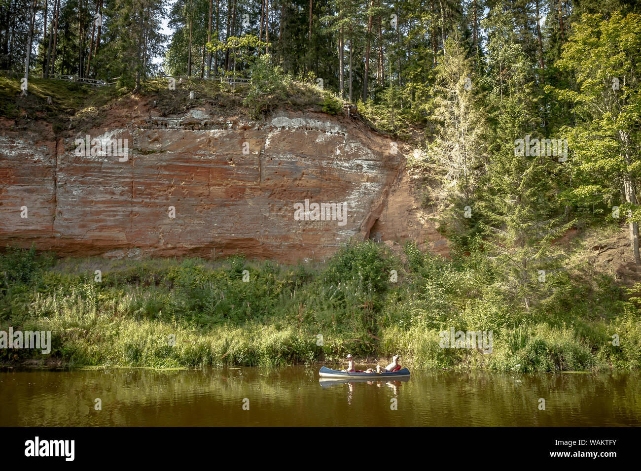 Kayaking in river Salaca, Latvia Stock Photo - Alamy