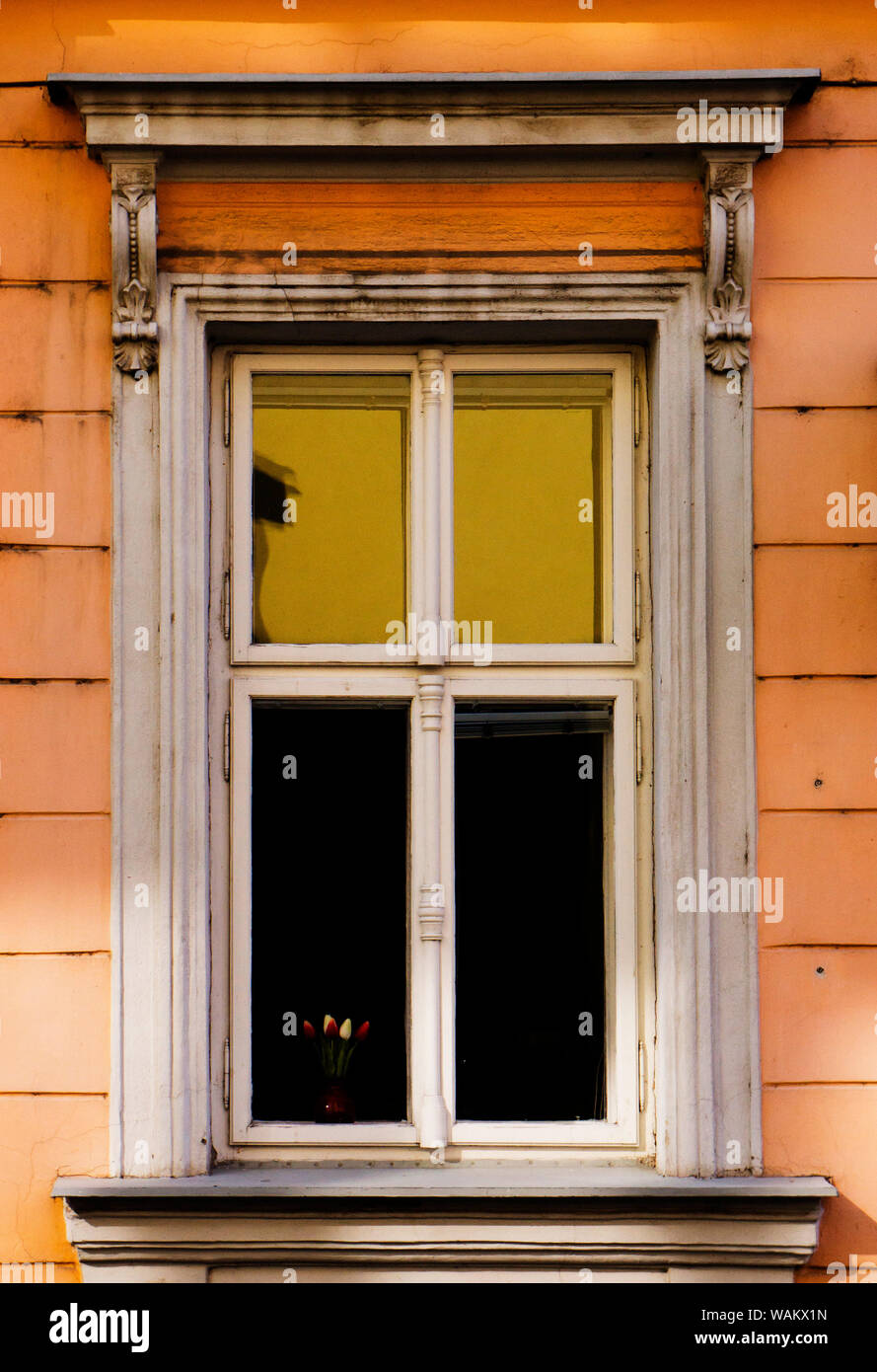 Window architecture hi-res stock photography and images - Alamy