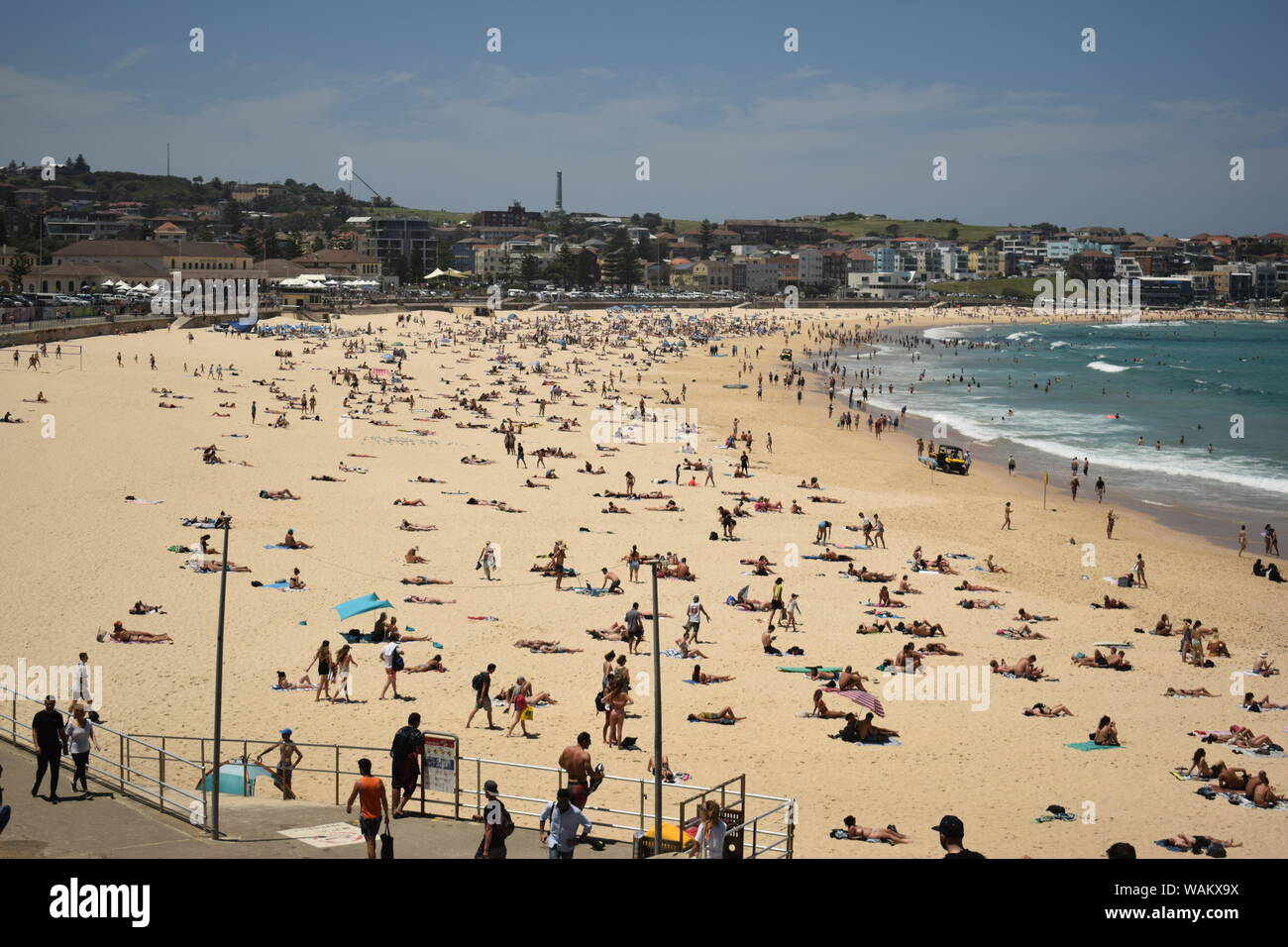 On bondi beach promenade hi-res stock photography and images - Alamy