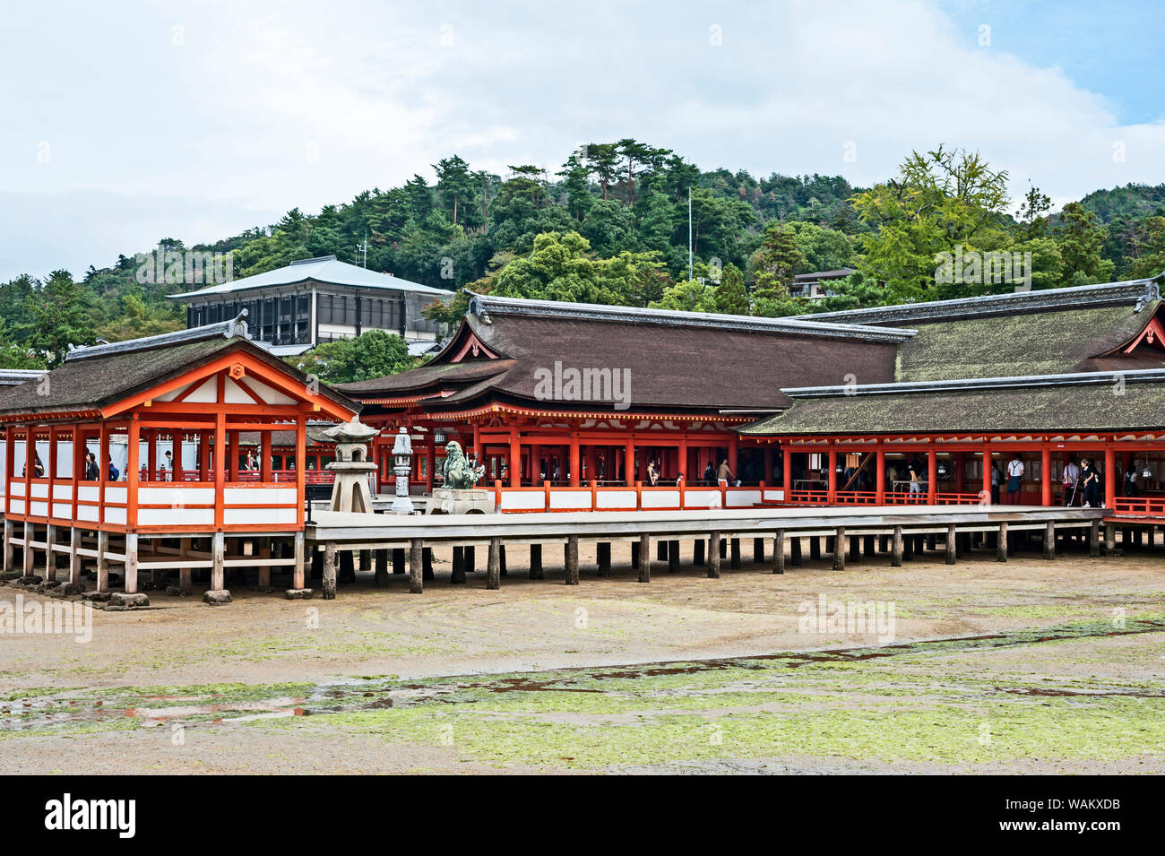 Itsukushima Shinto Shrine, (Itsukushima-jinja) viewed from Torii at low ...