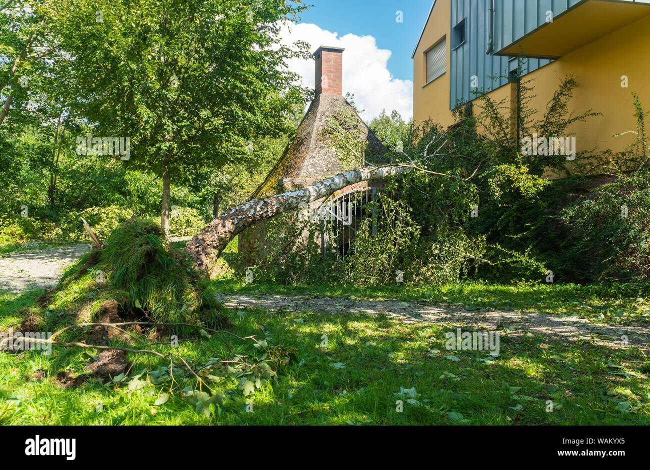 Destruction after the storm. Broken trees. Hail storm in the city ...