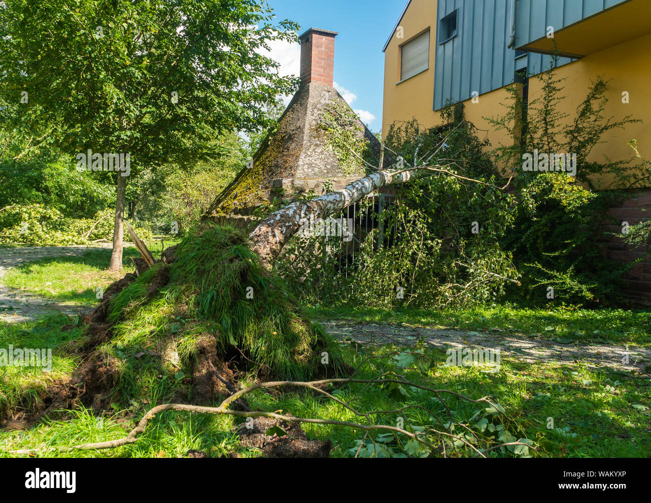 Destruction after the storm. Broken trees. Hail storm in the city ...