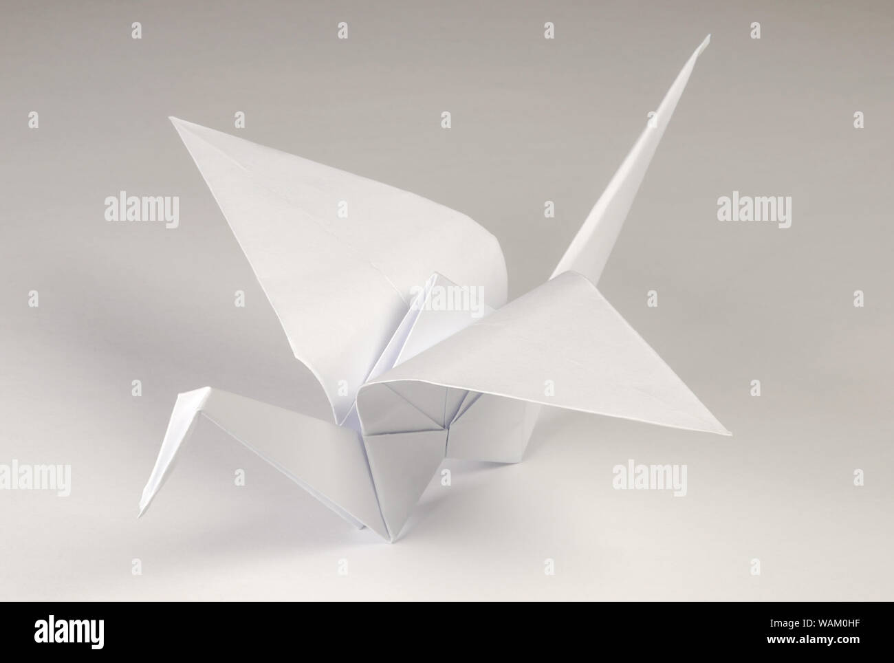 Light gray origami crane on gray background. Tsuru. Japanese art of ...