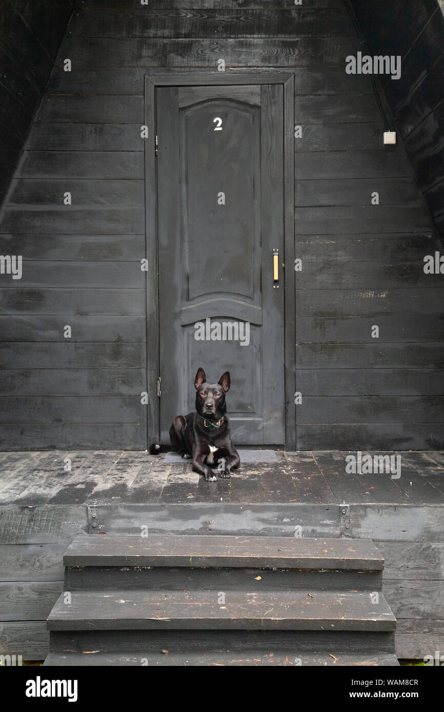 black guard dog on the porch of a triangular house Stock Photo - Alamy