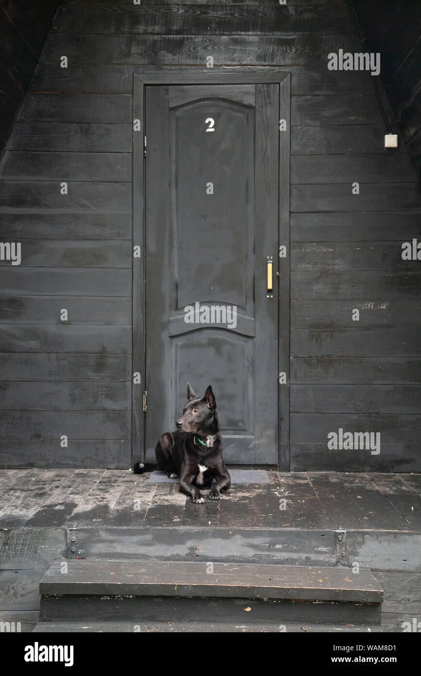 black guard dog on the porch of a triangular house Stock Photo - Alamy