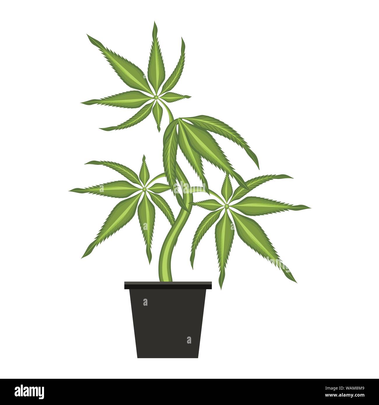 cannabis martihuana sativa hemp cartoon Stock Vector Image & Art - Alamy