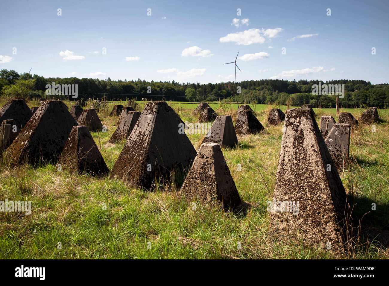 tank traps of the Siegfried line near Schmithof in the south of Aachen ...