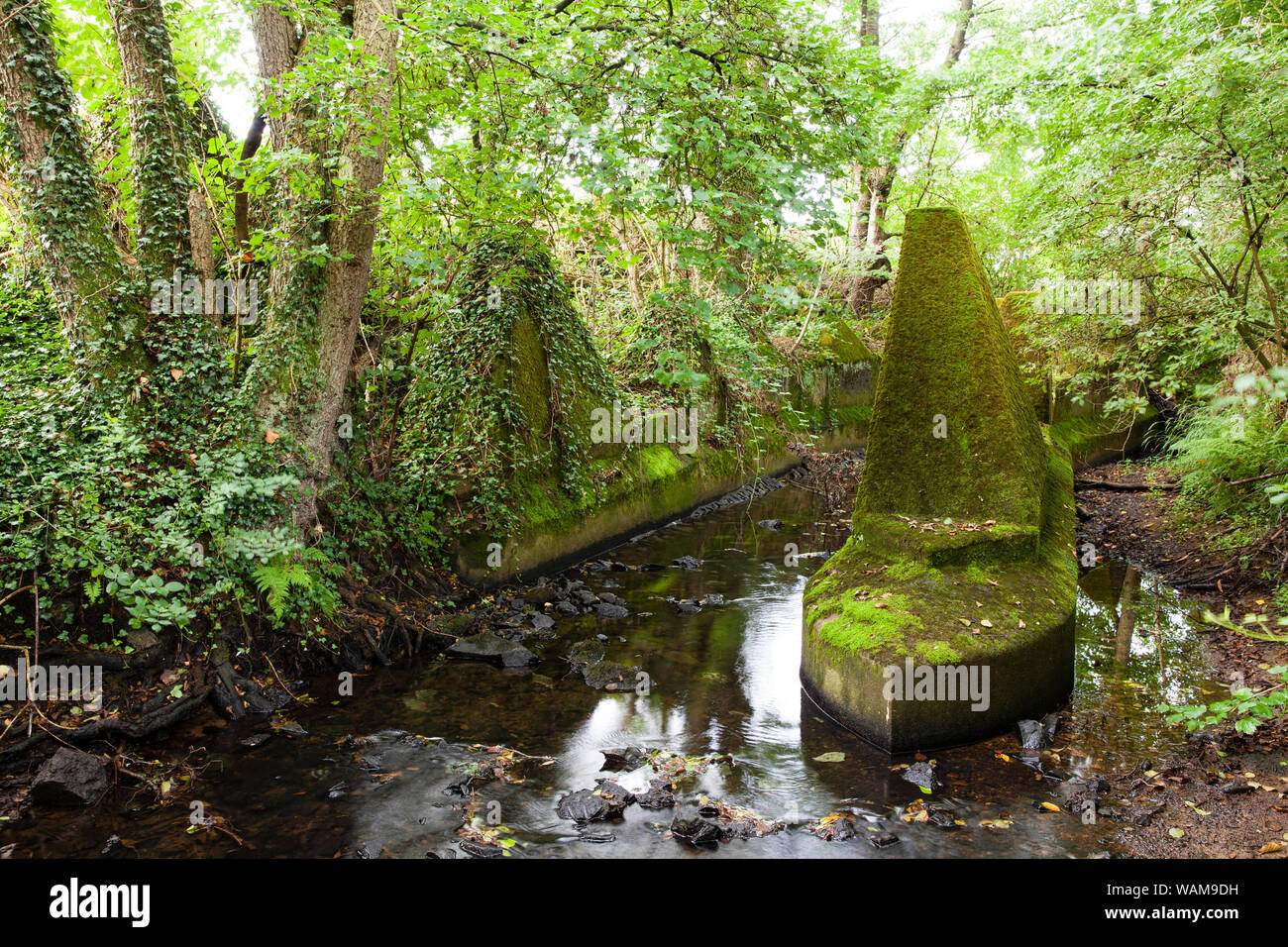 tank traps of the Siegfried line in the river Inde near Schmithof in ...