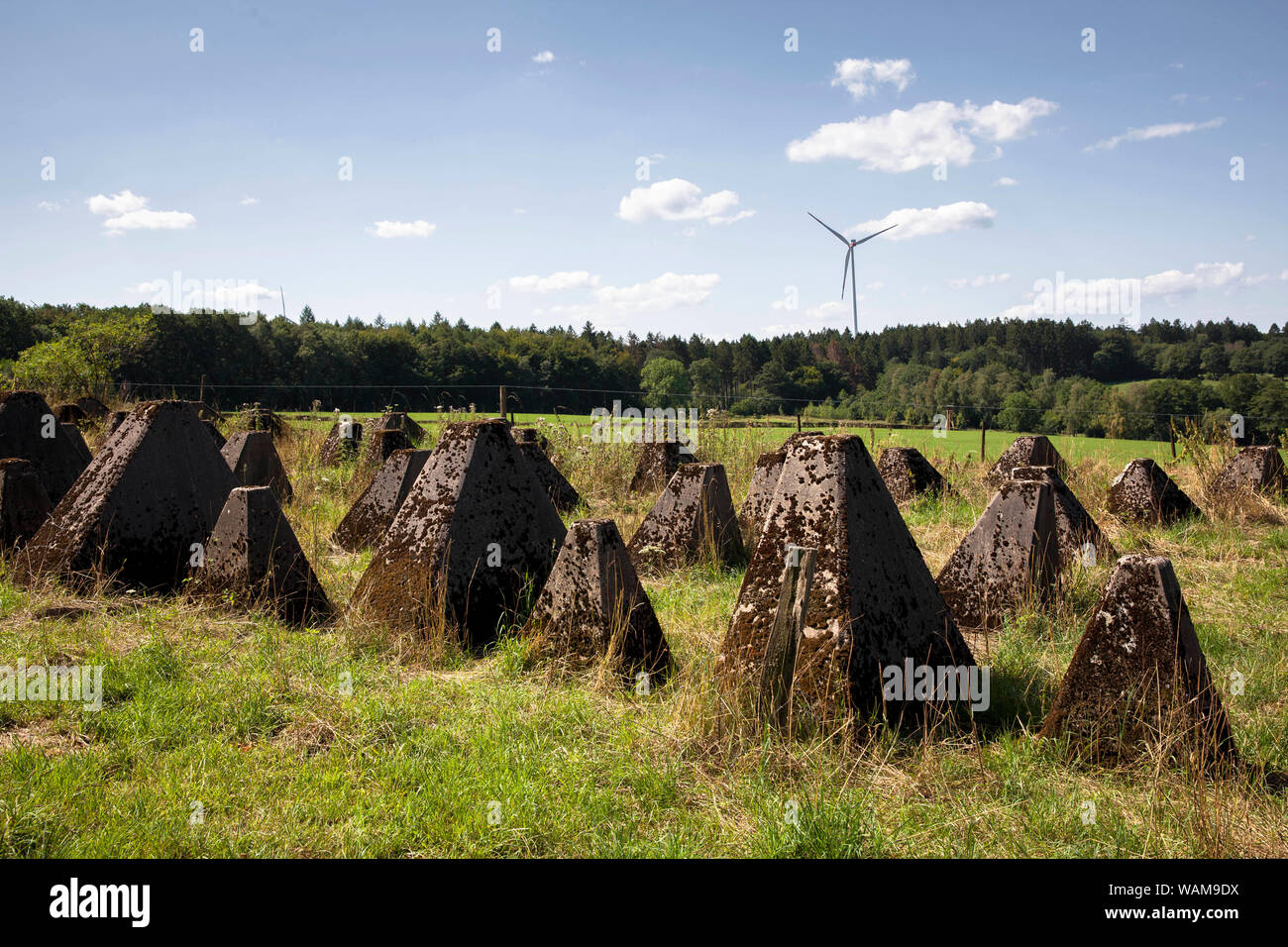 tank traps of the Siegfried line near Schmithof in the south of Aachen ...