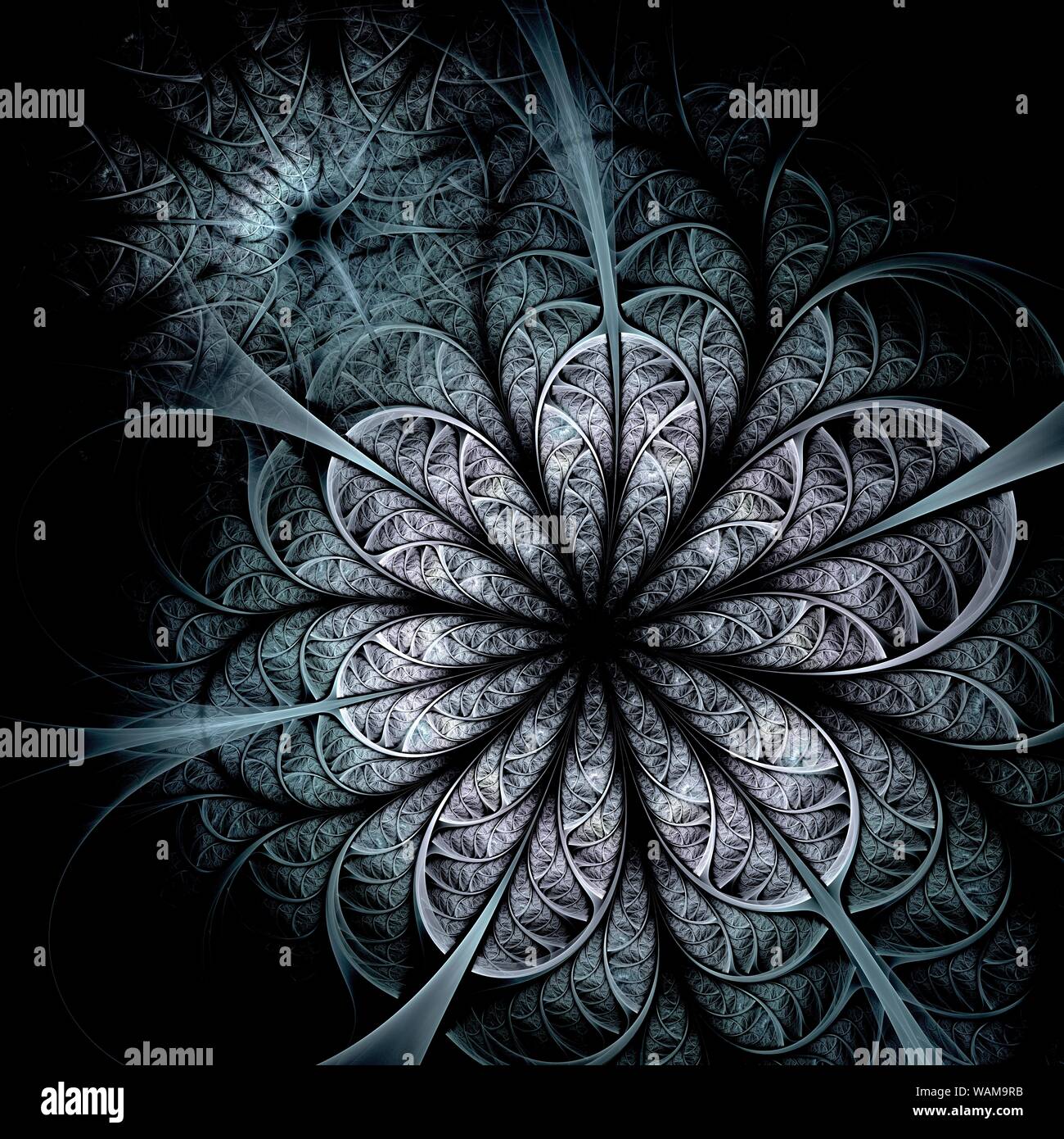 Dark blue fractal flower, digital artwork graphic Stock Photo - Alamy