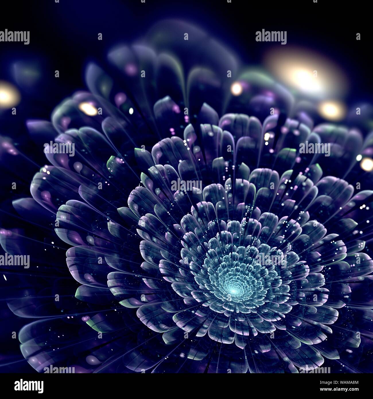 Dark blue fractal flower, digital artwork graphic Stock Photo - Alamy