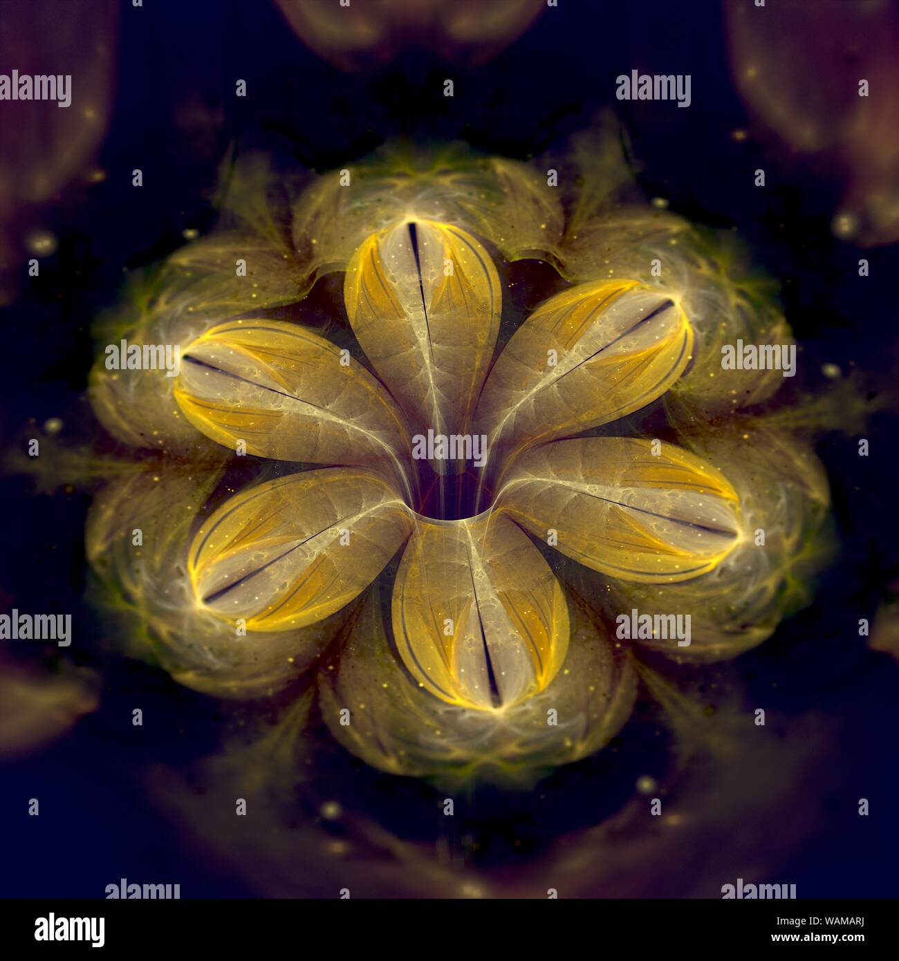 Colorful fractal flower pattern, digital artwork for creative Stock ...